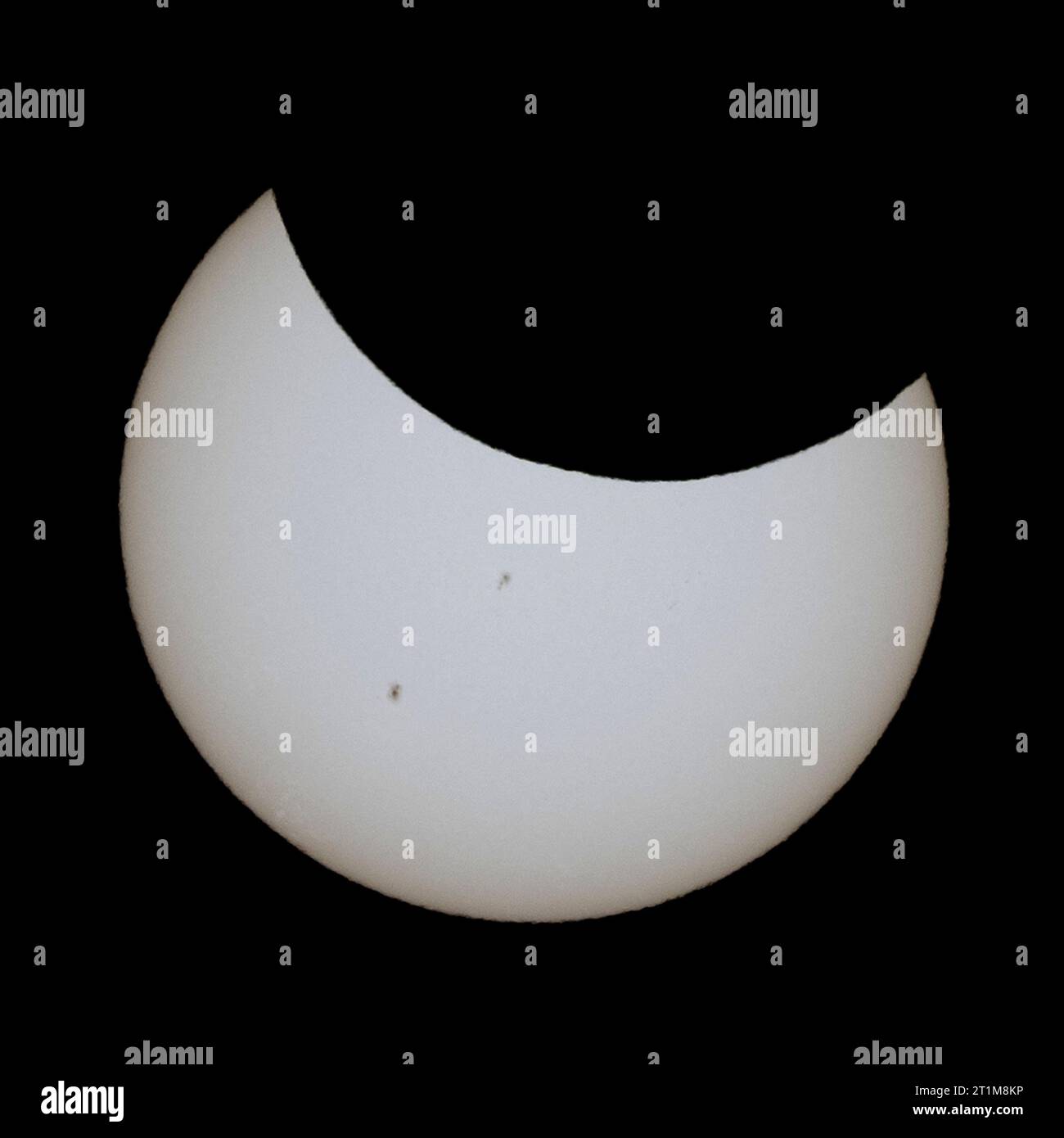 Photos of the annular solar eclipse at Hermann Park on Saturday, Oct ...