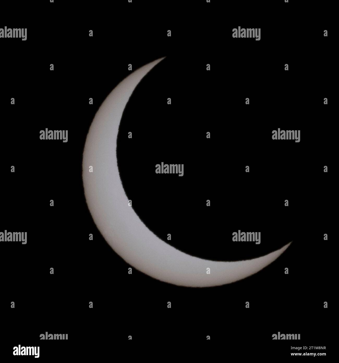 Photos of the annular solar eclipse at Hermann Park on Saturday, Oct ...