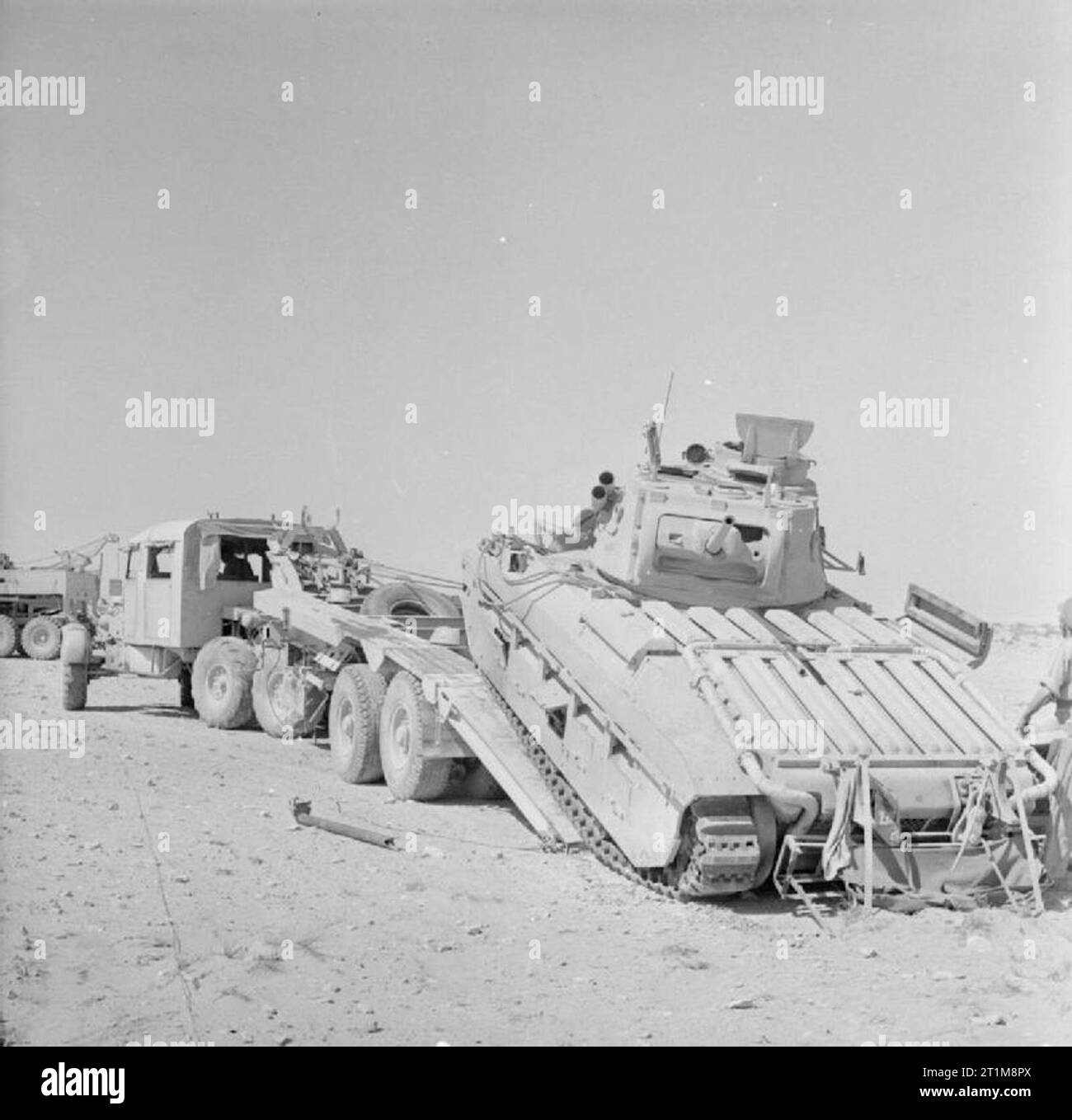 Scammell pioneer tank transporter hi-res stock photography and images ...