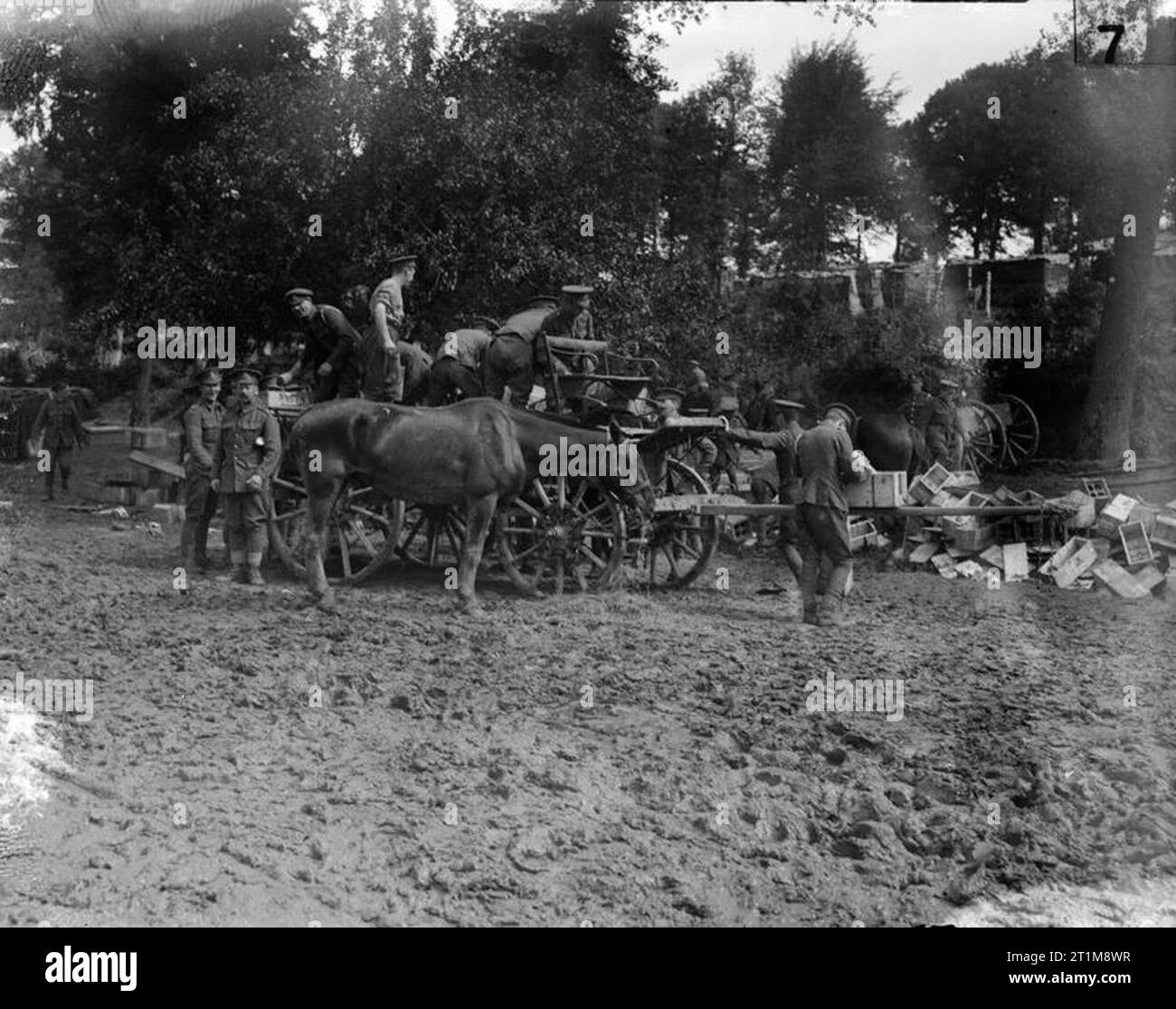 The Battle of the Somme, July - November 1916 Battle of Albert. Sorting ...
