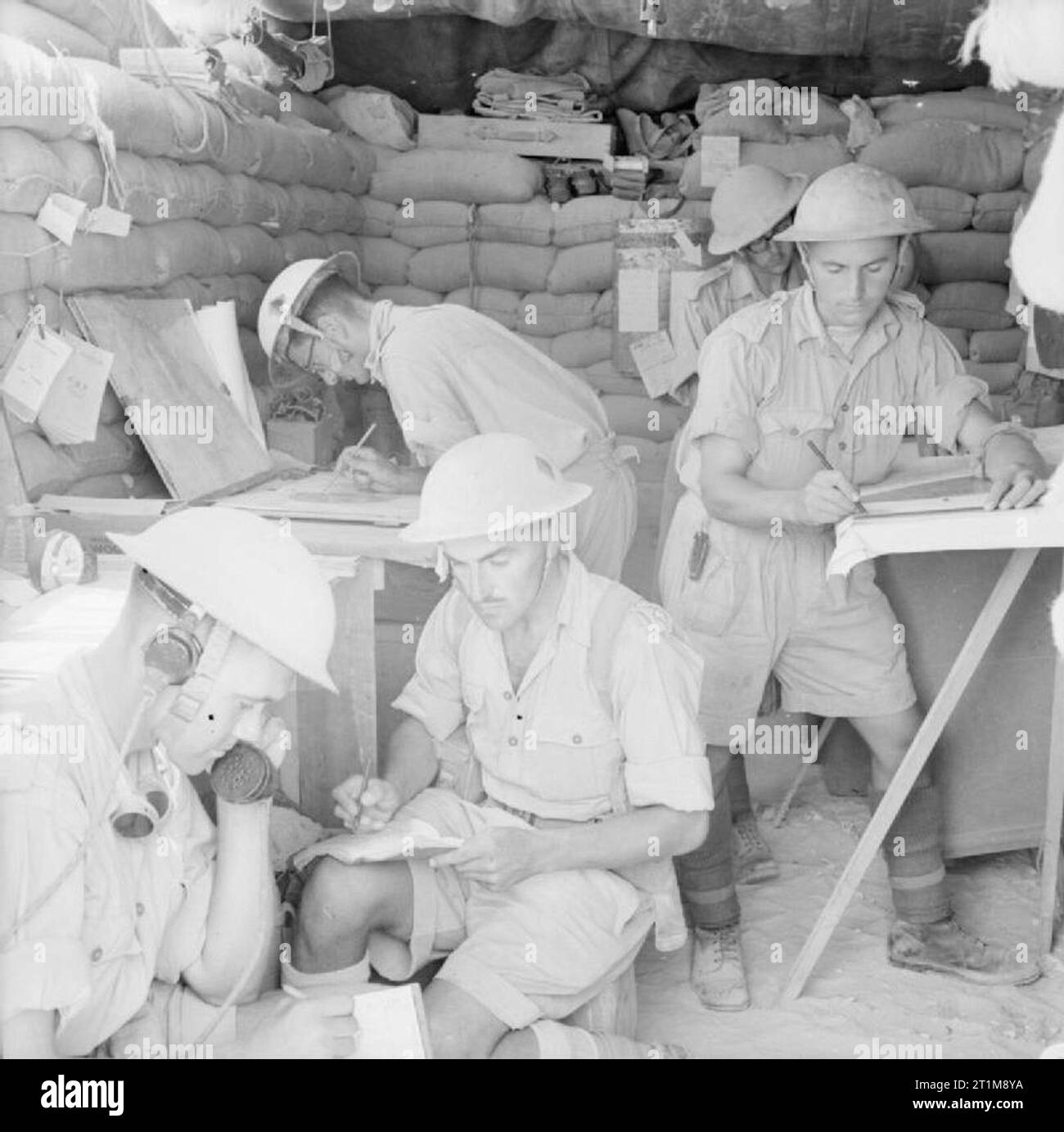 The British Army in North Africa 1942 Industrious poses are adopted for ...