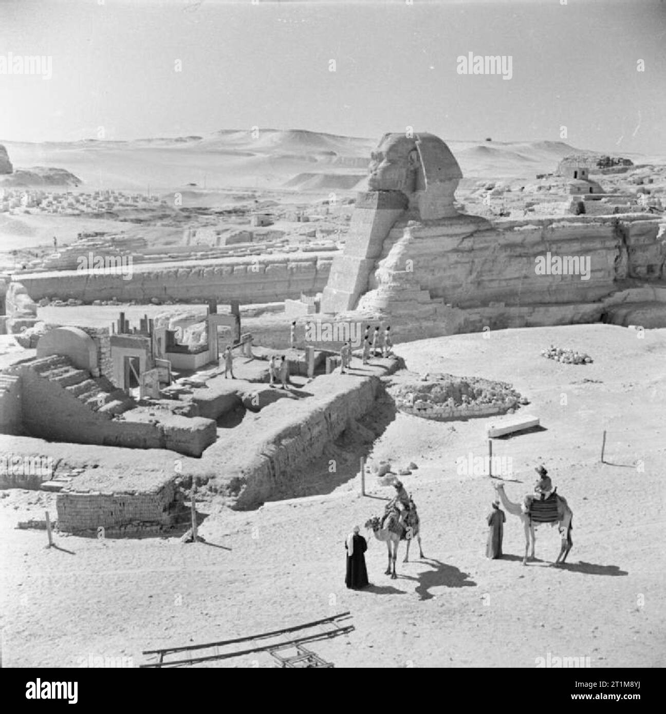 The British Army in North Africa 1942 Newly-arrived girls of the ATS ...