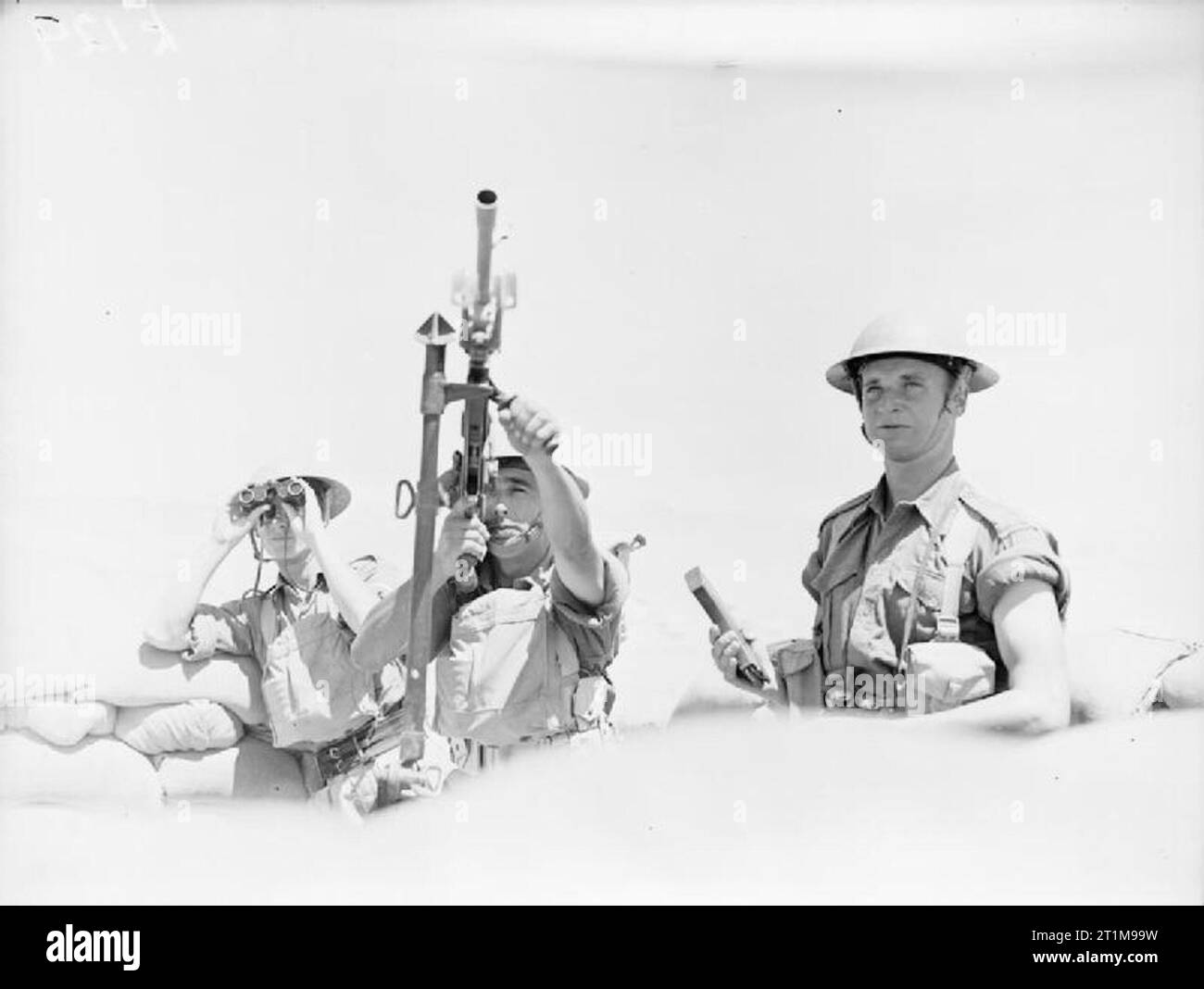 The British Army in North Africa Men of the 2nd Cameron Highlanders man ...