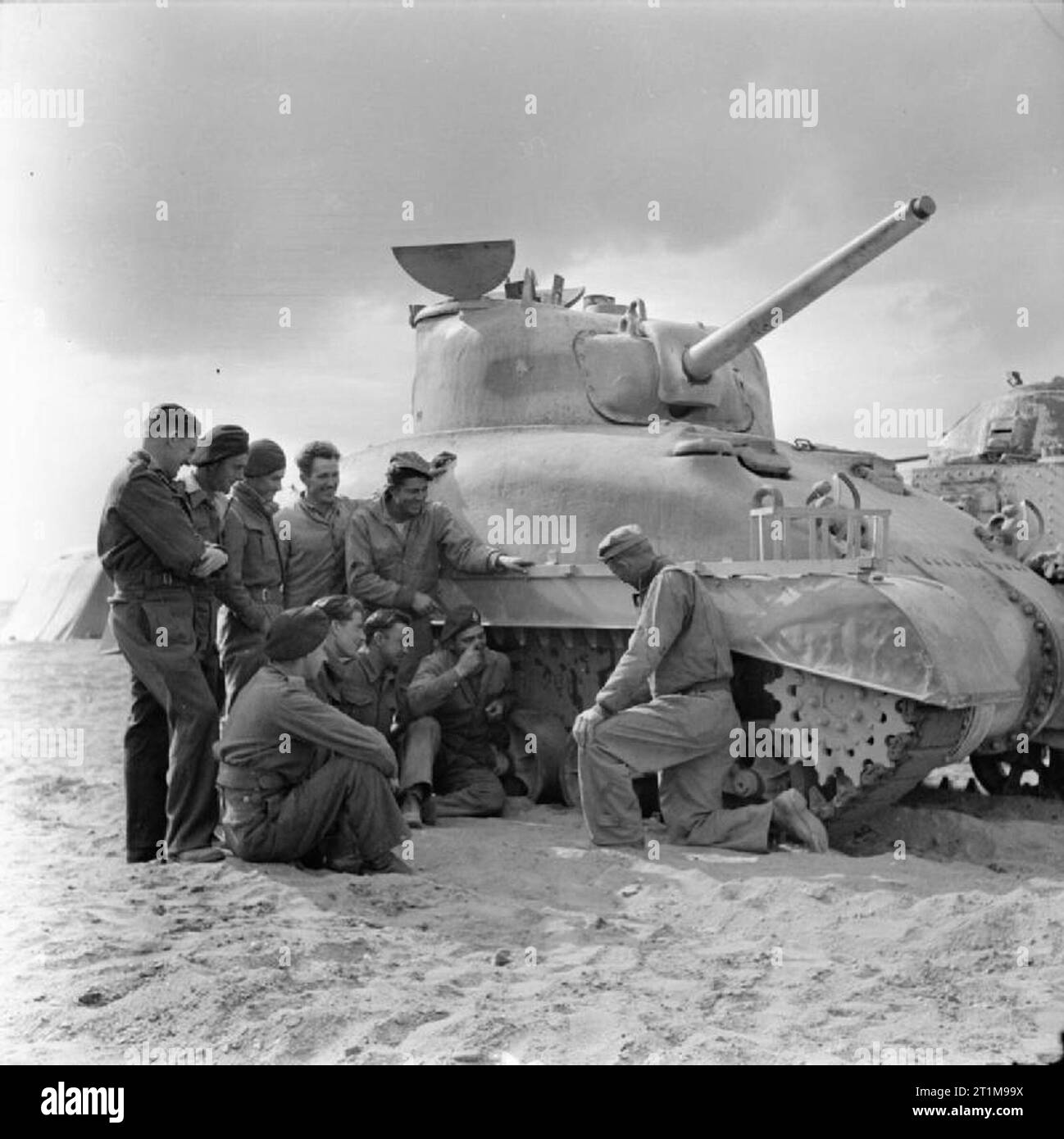 The British Army in North Africa 1943 English, South African and New ...