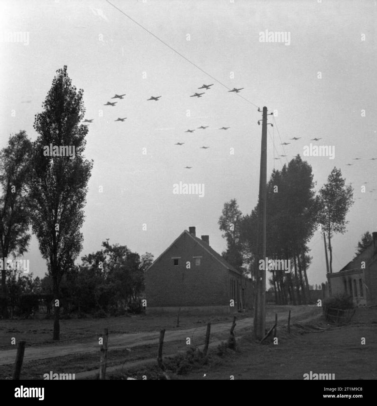 The British Army in North-west Europe 1944-45 C-47 aircraft carrying ...