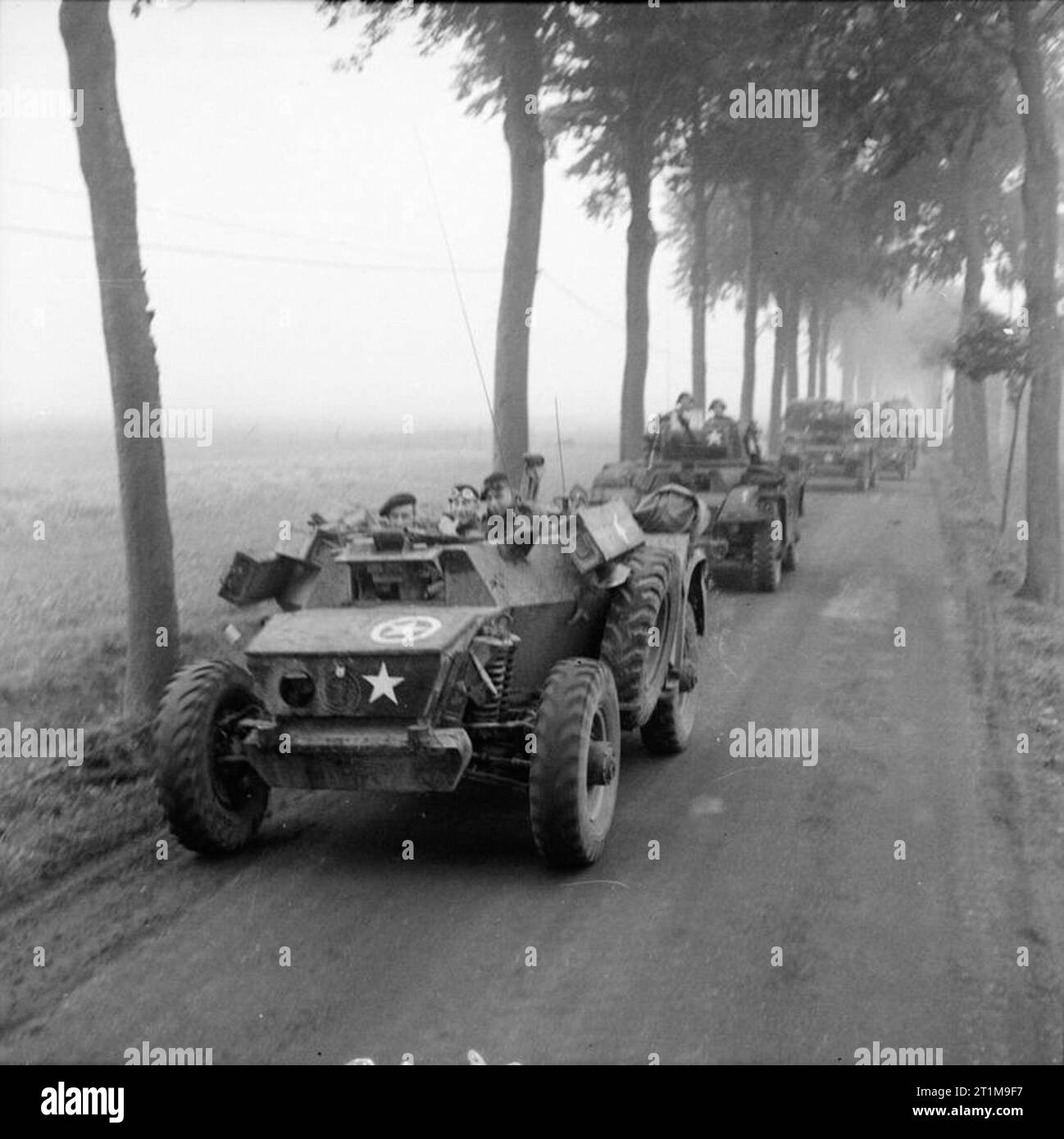 The British Army in North-west Europe 1944-45 Daimler armoured cars and ...
