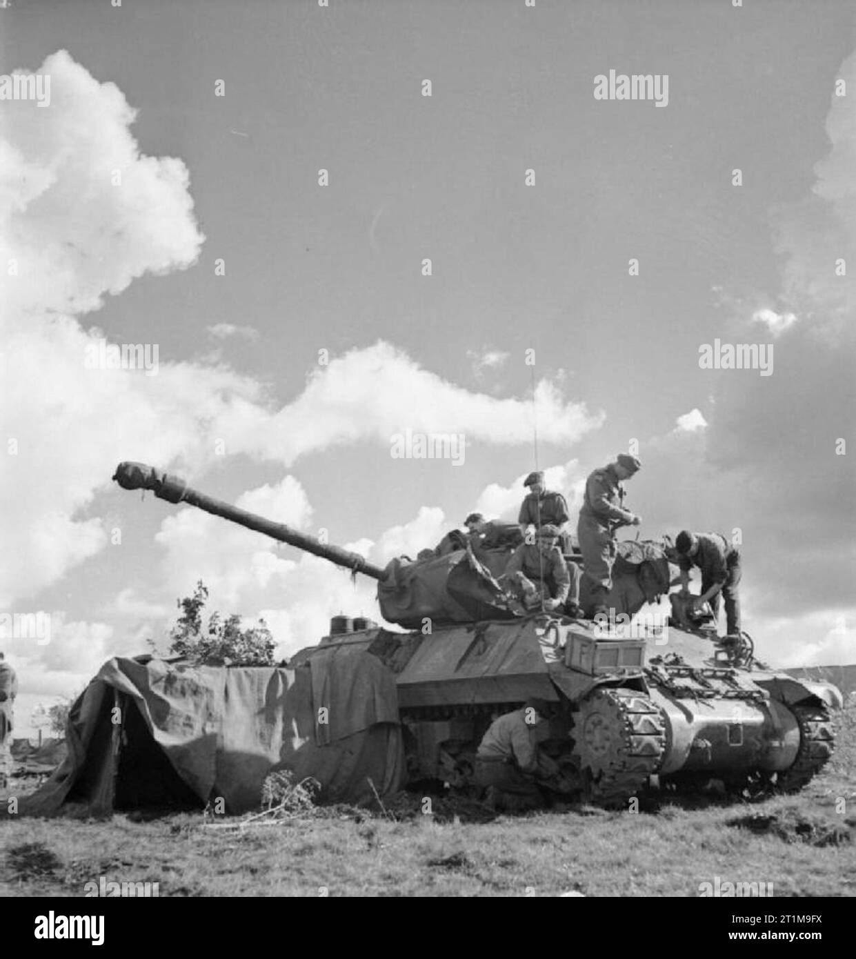 The British Army in North-west Europe 1944-45 Achilles tank destroyer ...