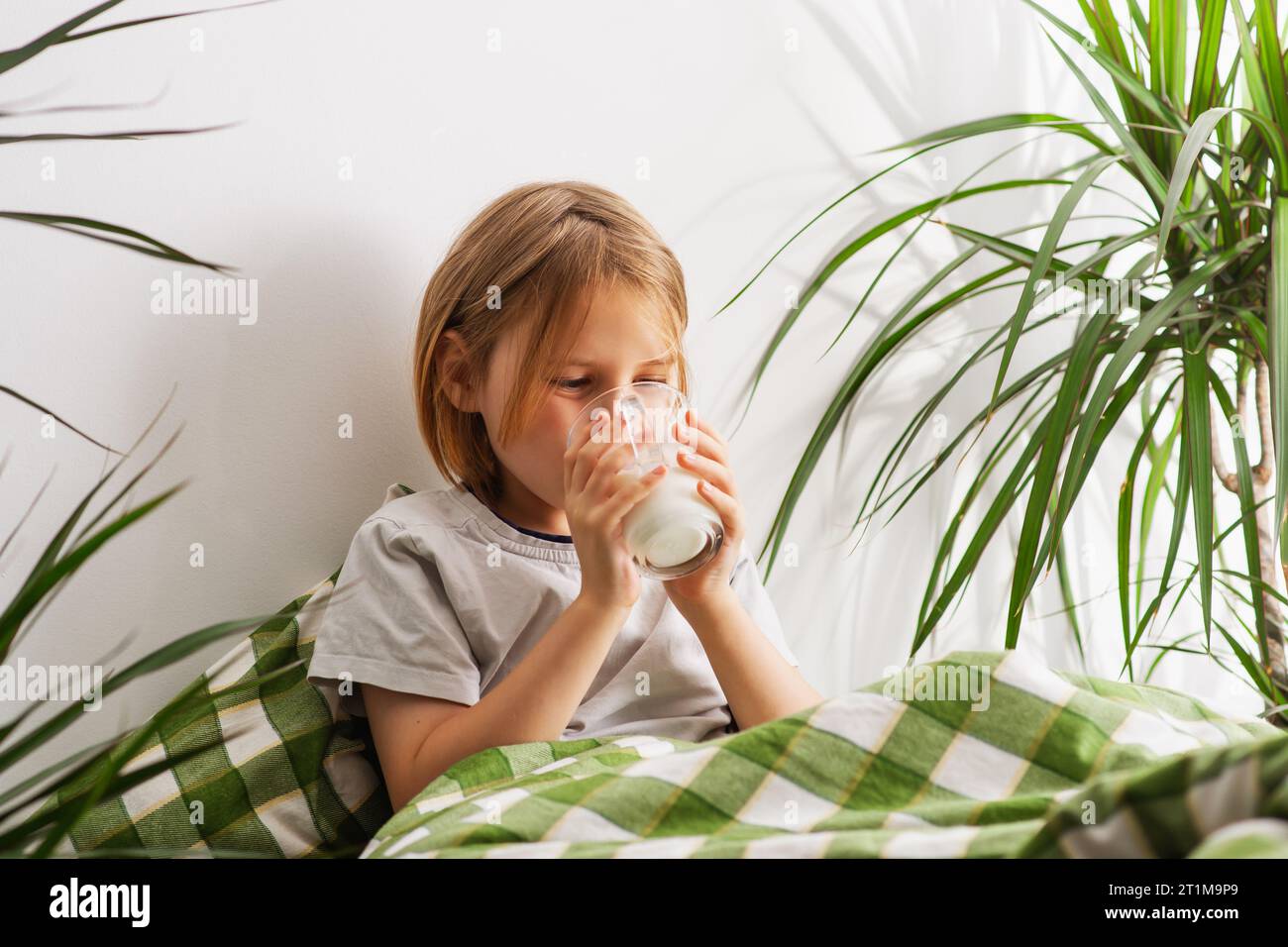 In the bed, a 9-10-year-old boy with lengthy hair sips milk, his ...