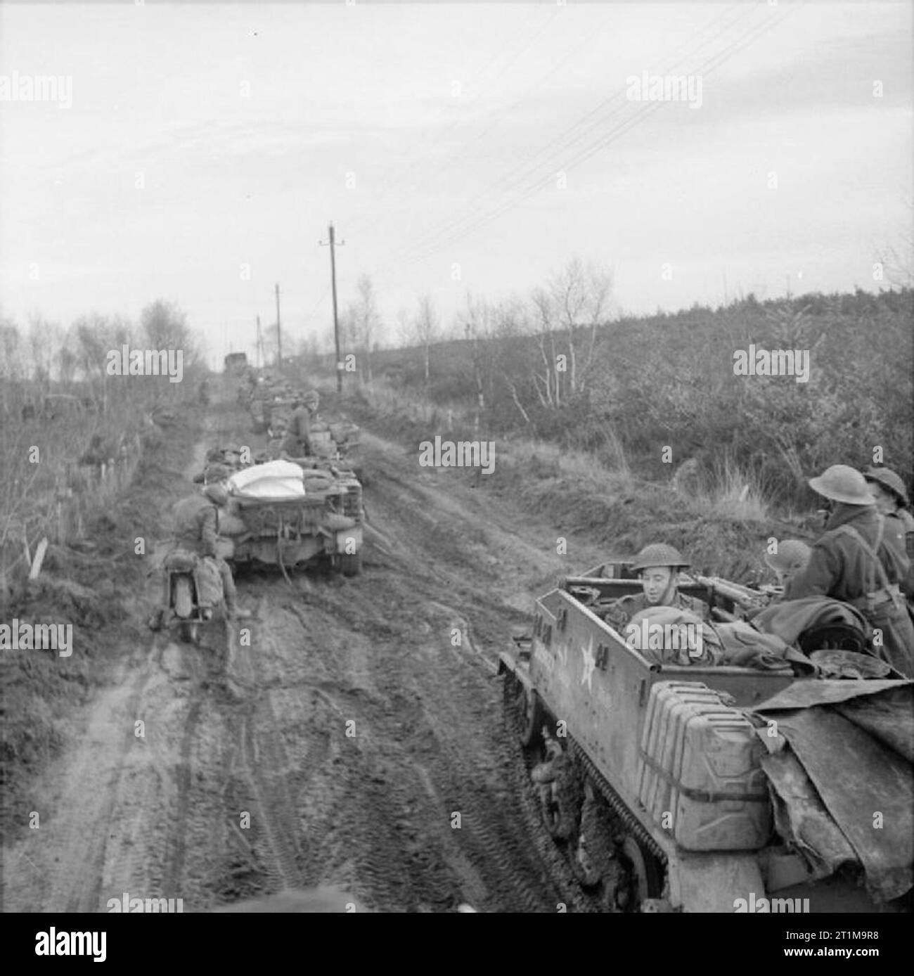 The British Army in North-west Europe 1944-45 Universal carriers of ...