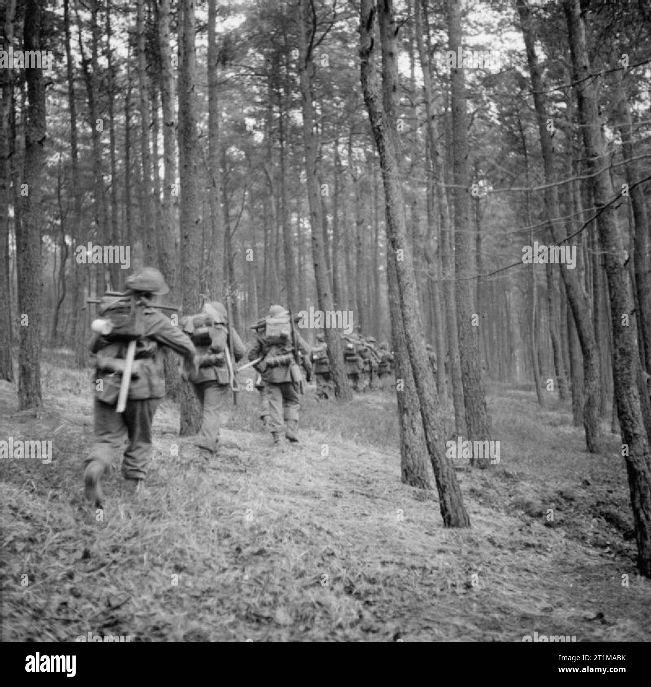 The British Army in North-west Europe 1944-45 Infantry advance through ...