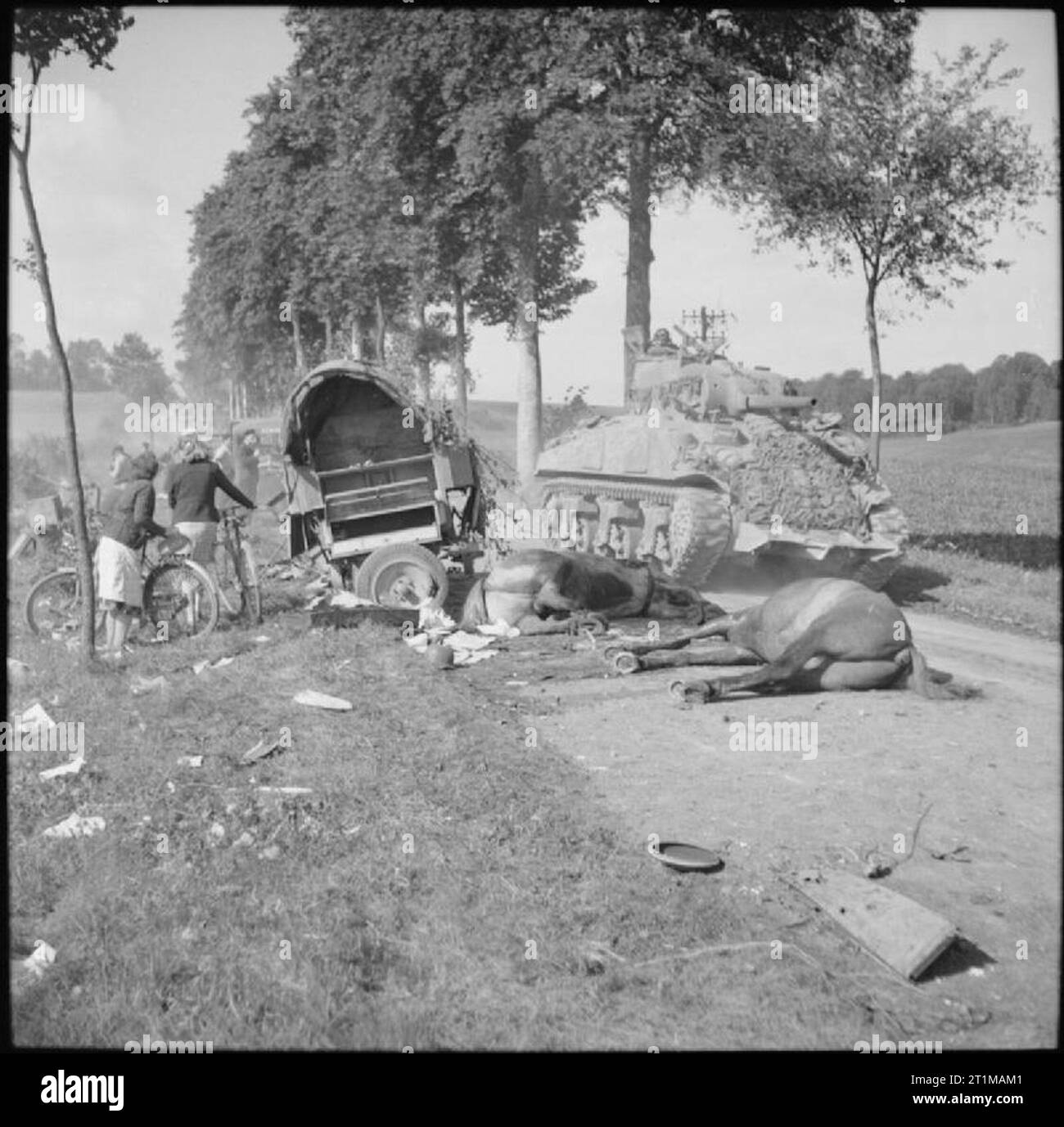 The British Army in North-west Europe 1944-45 A Sherman tank passes ...