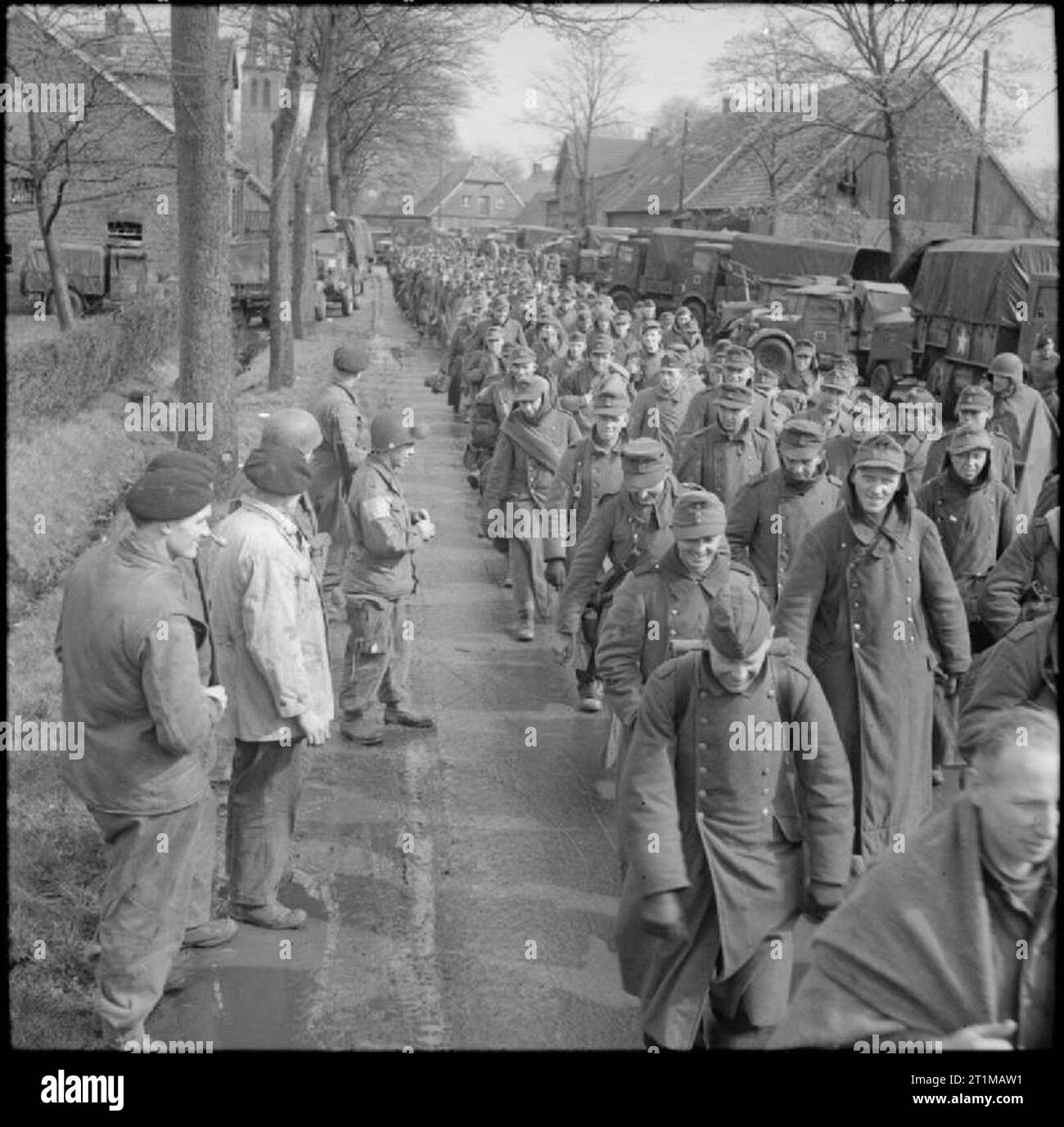 The British Army in North-west Europe 1944-45 A long column of German ...