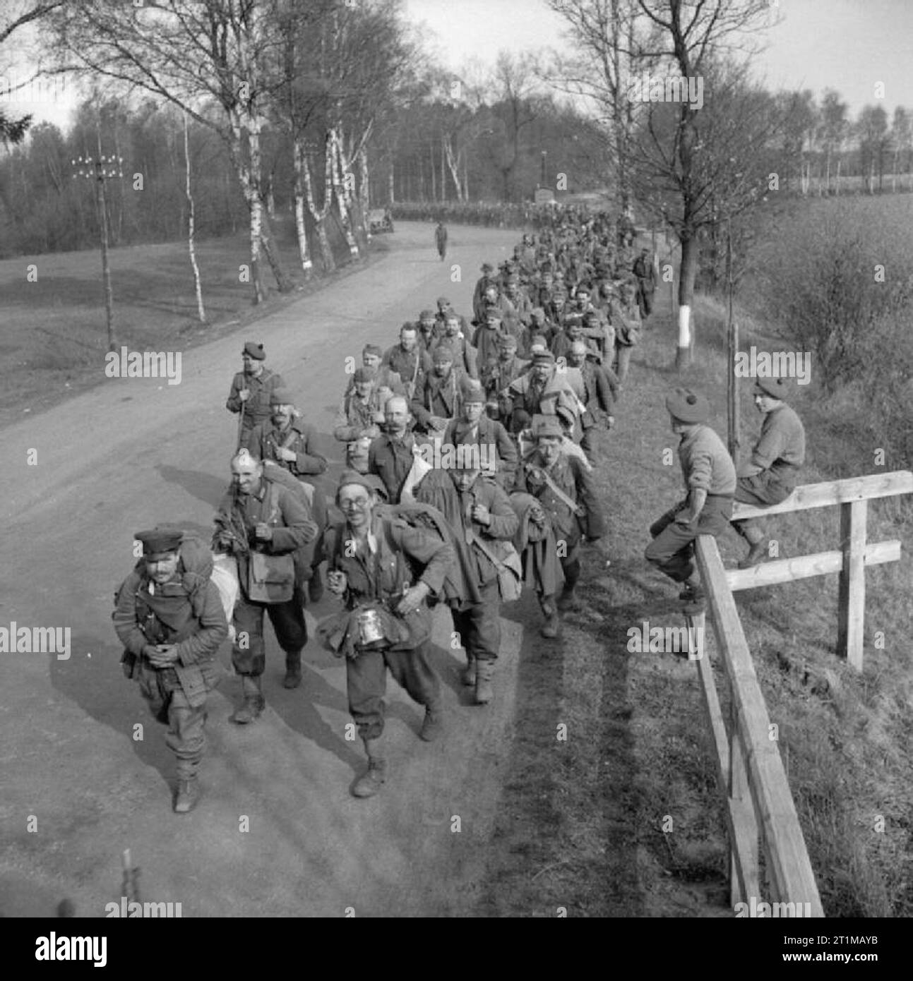 The British Army in North-west Europe 1944-45 Scottish troops escort a ...