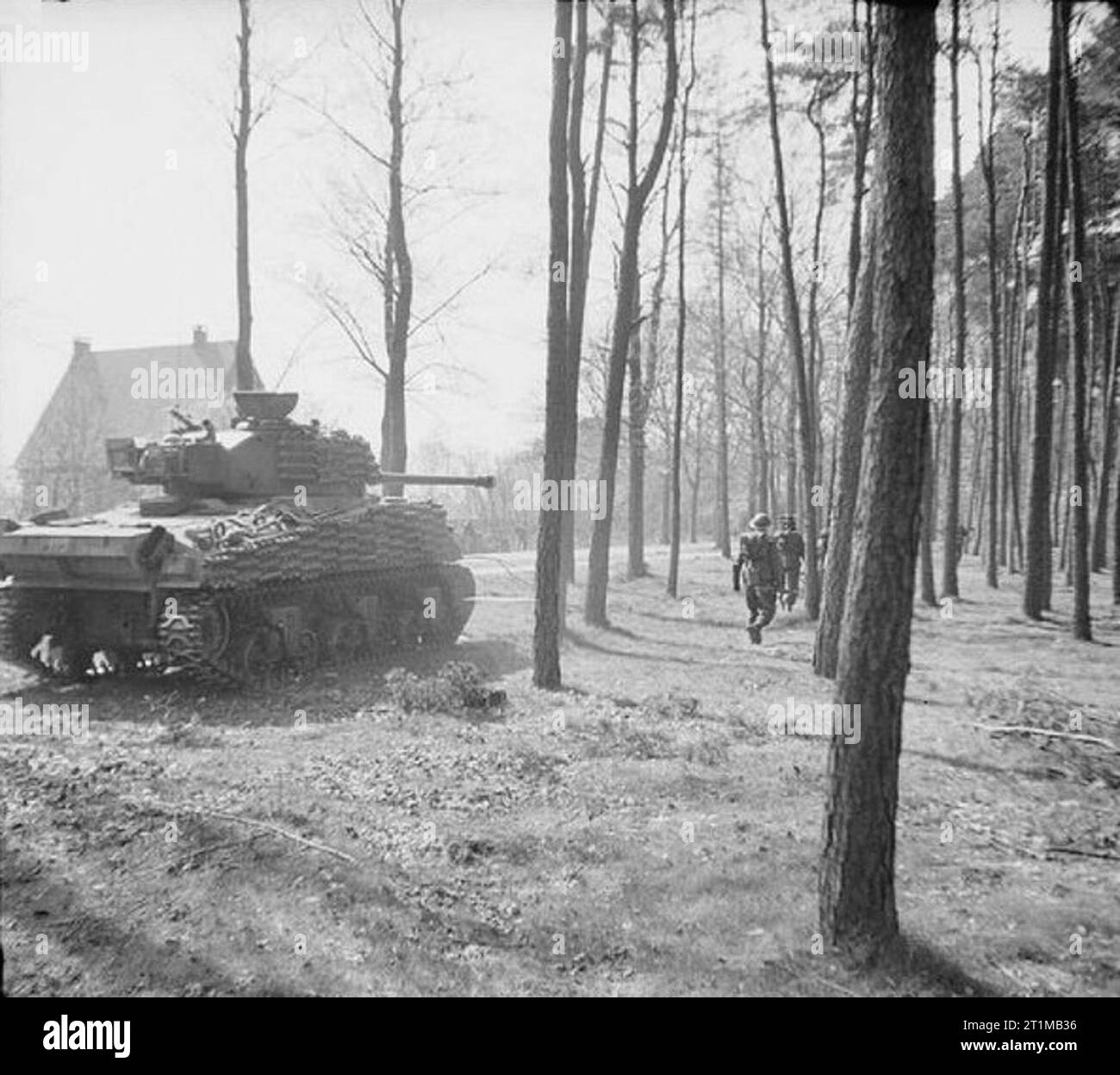 The British Army in North-west Europe 1944-45 A Sherman Firefly of 5th ...