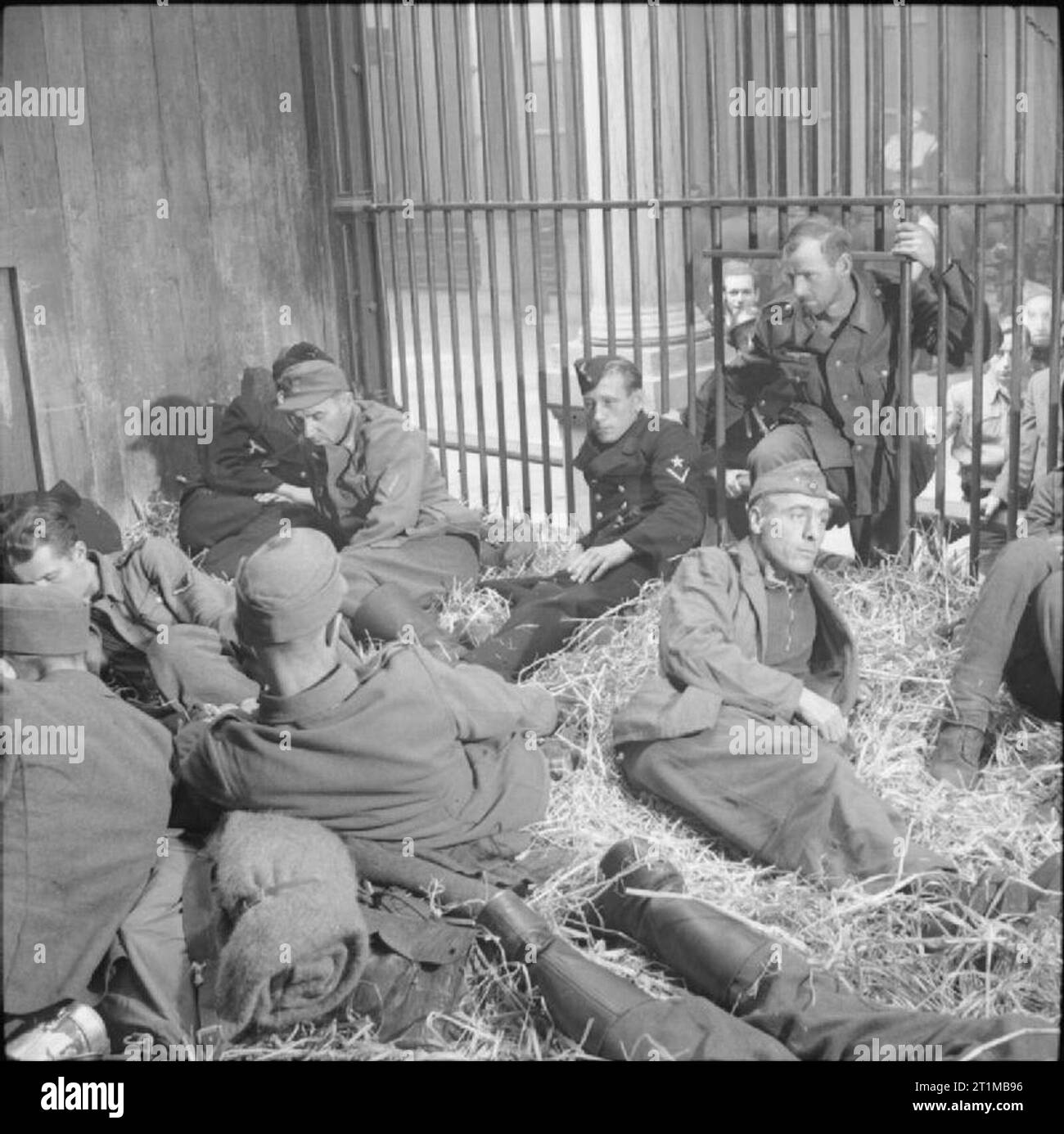 The British Army in North-west Europe 1944-45 Disconsolate German ...