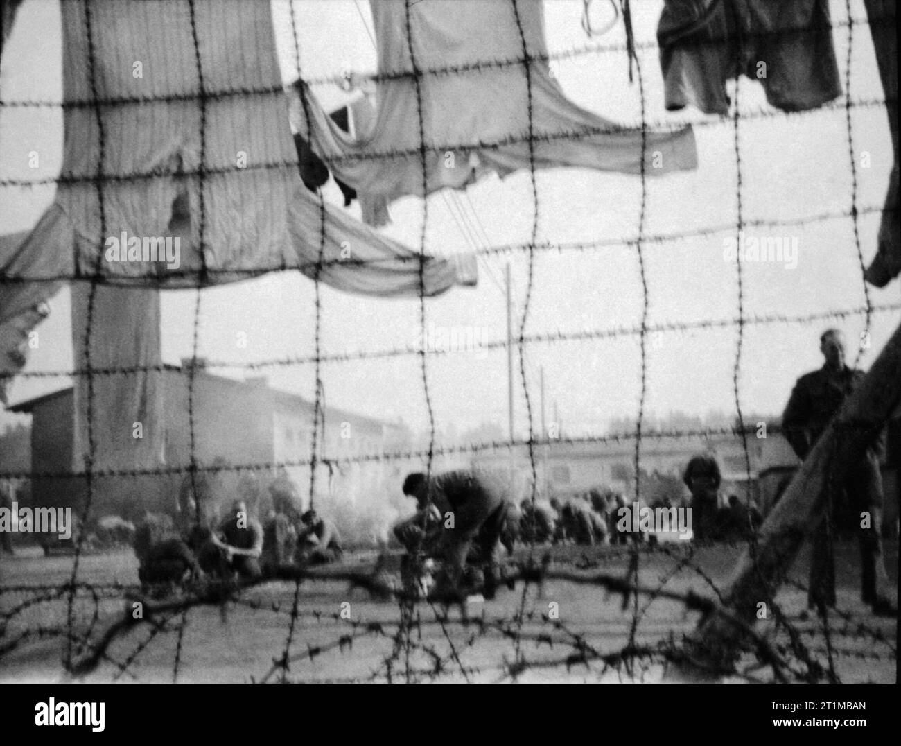 The British Army in North-west Europe 1944-45 A photograph taken ...