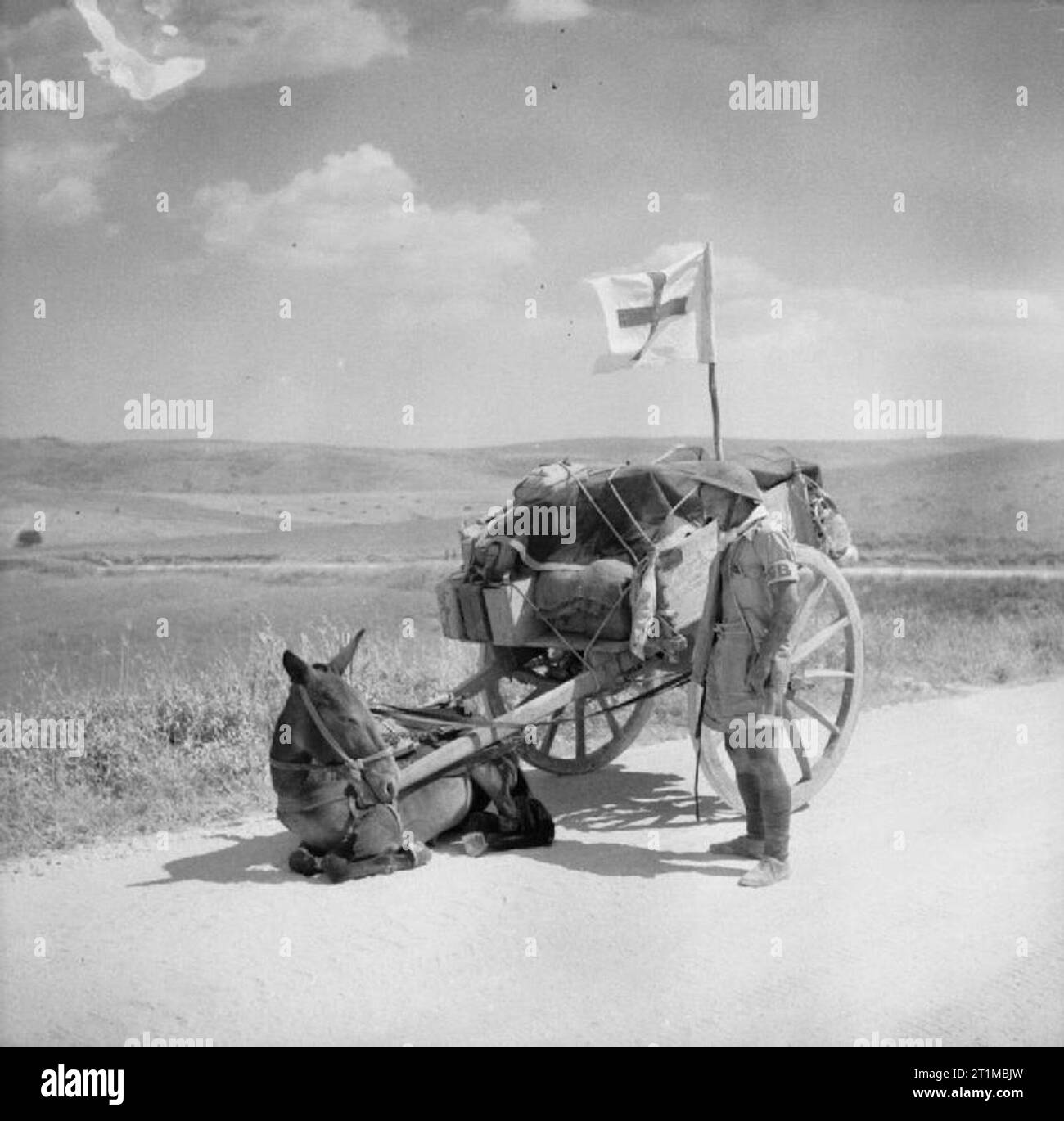 The British Army in Sicily 1943 A stretcher bearer fails to persuade ...
