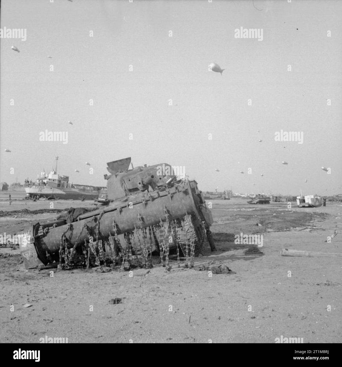 The British Army in the Normandy Campaign 1944 A Sherman Crab flail ...