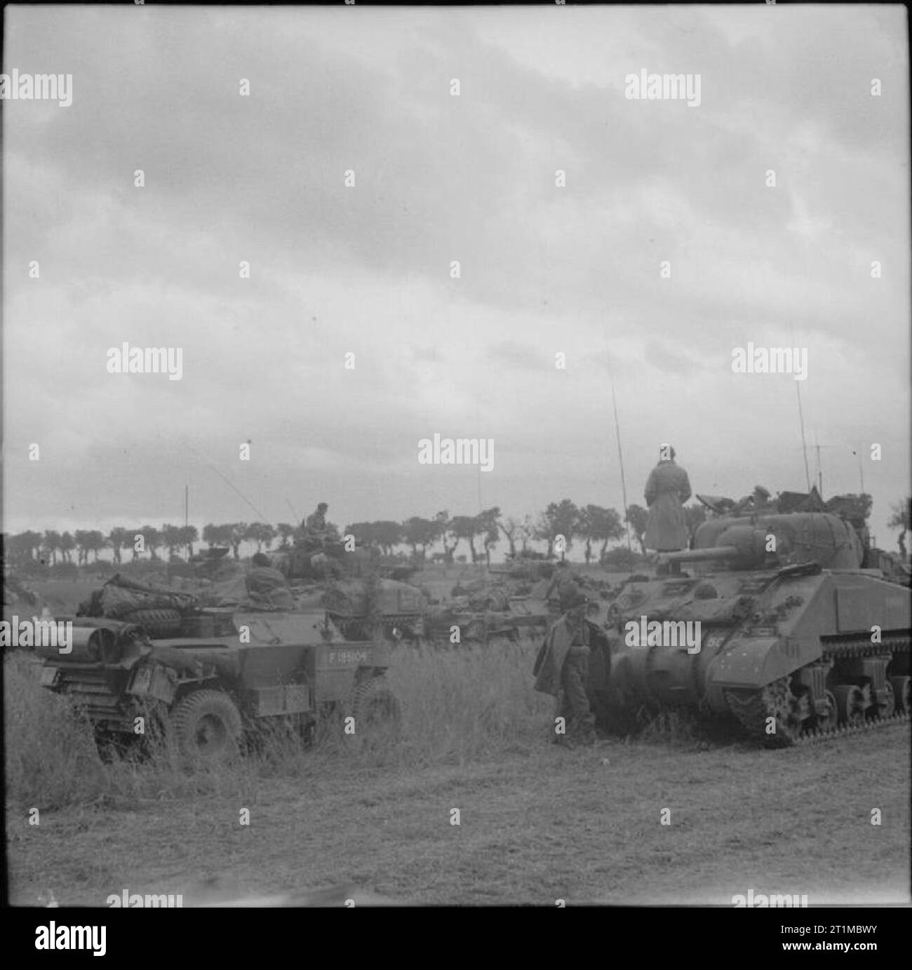 The British Army in the Normandy Campaign 1944 A scout car and Sherman ...