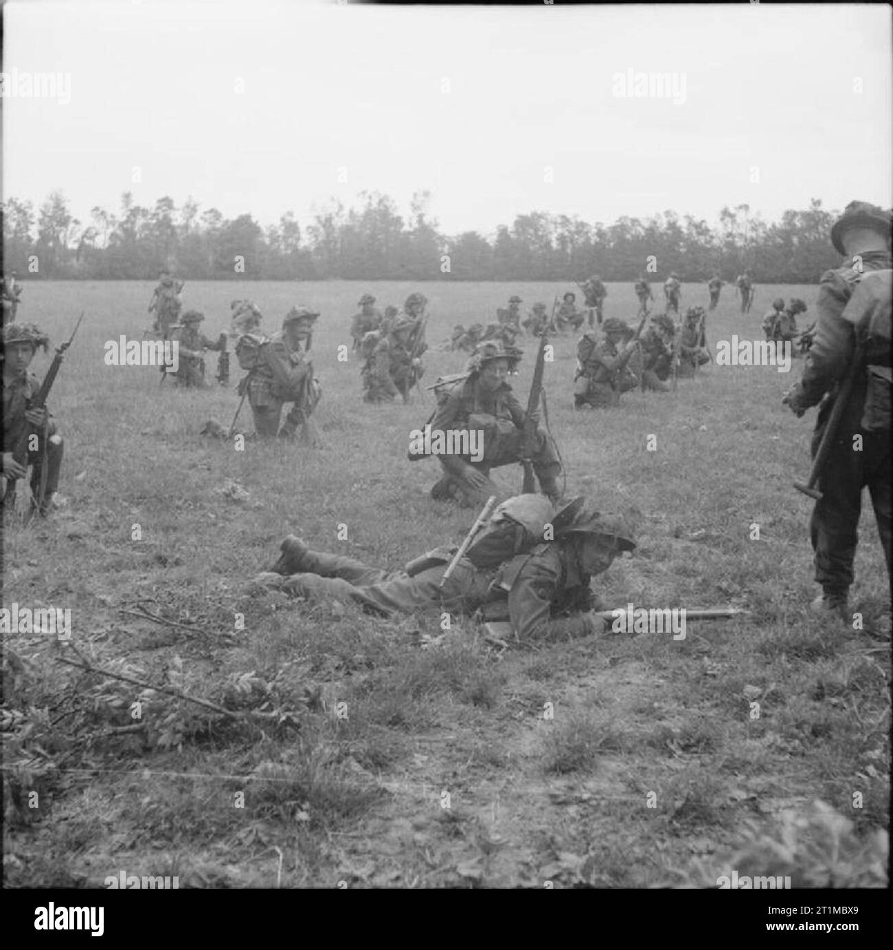 The British Army in the Normandy Campaign 1944 7th Seaforth Highlanders ...