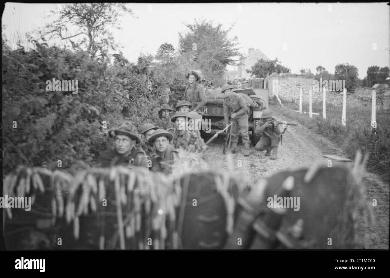 The British Army in the Normandy Campaign 1944 Troops of 130th Brigade ...