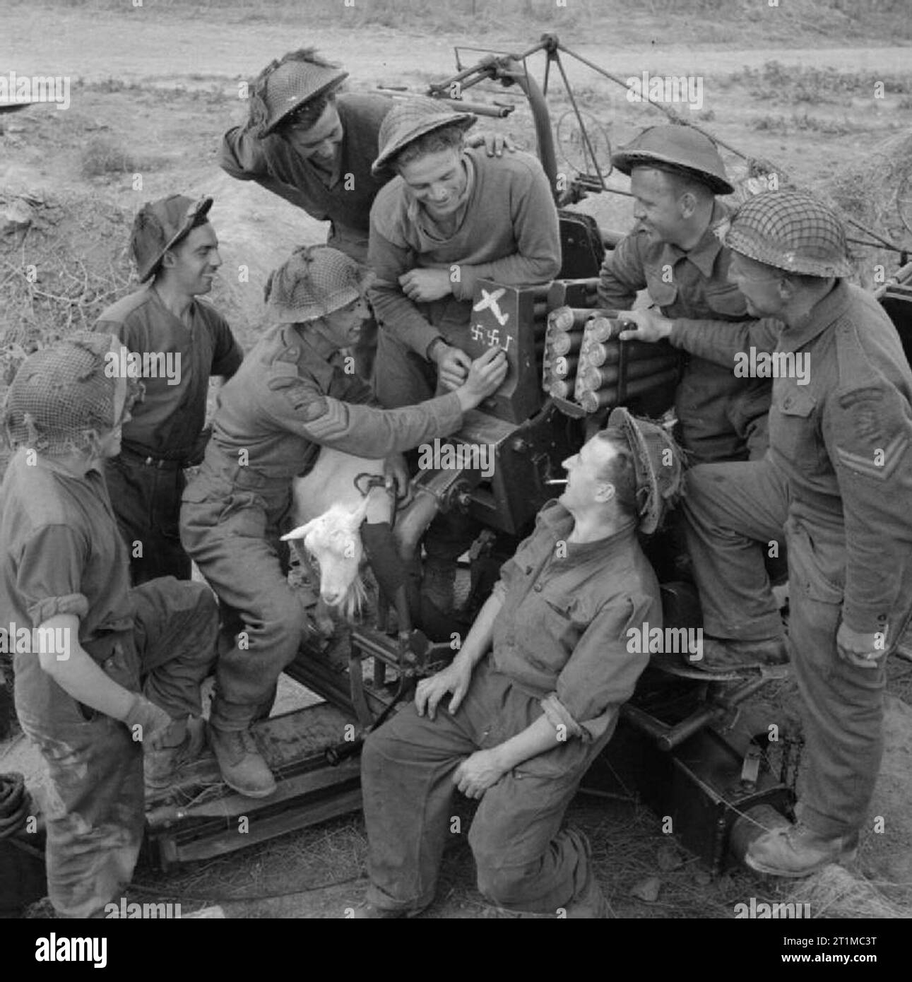 The British Army in the Normandy Campaign 1944 A Bofors anti-aircraft ...