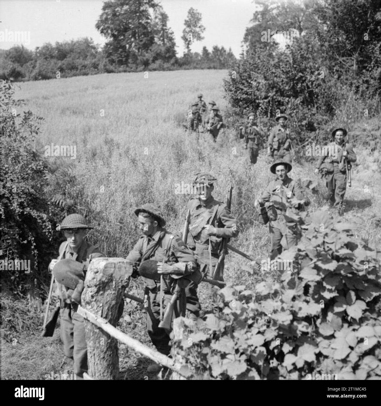 The British Army in the Normandy Campaign 1944 Men of the Seaforth ...