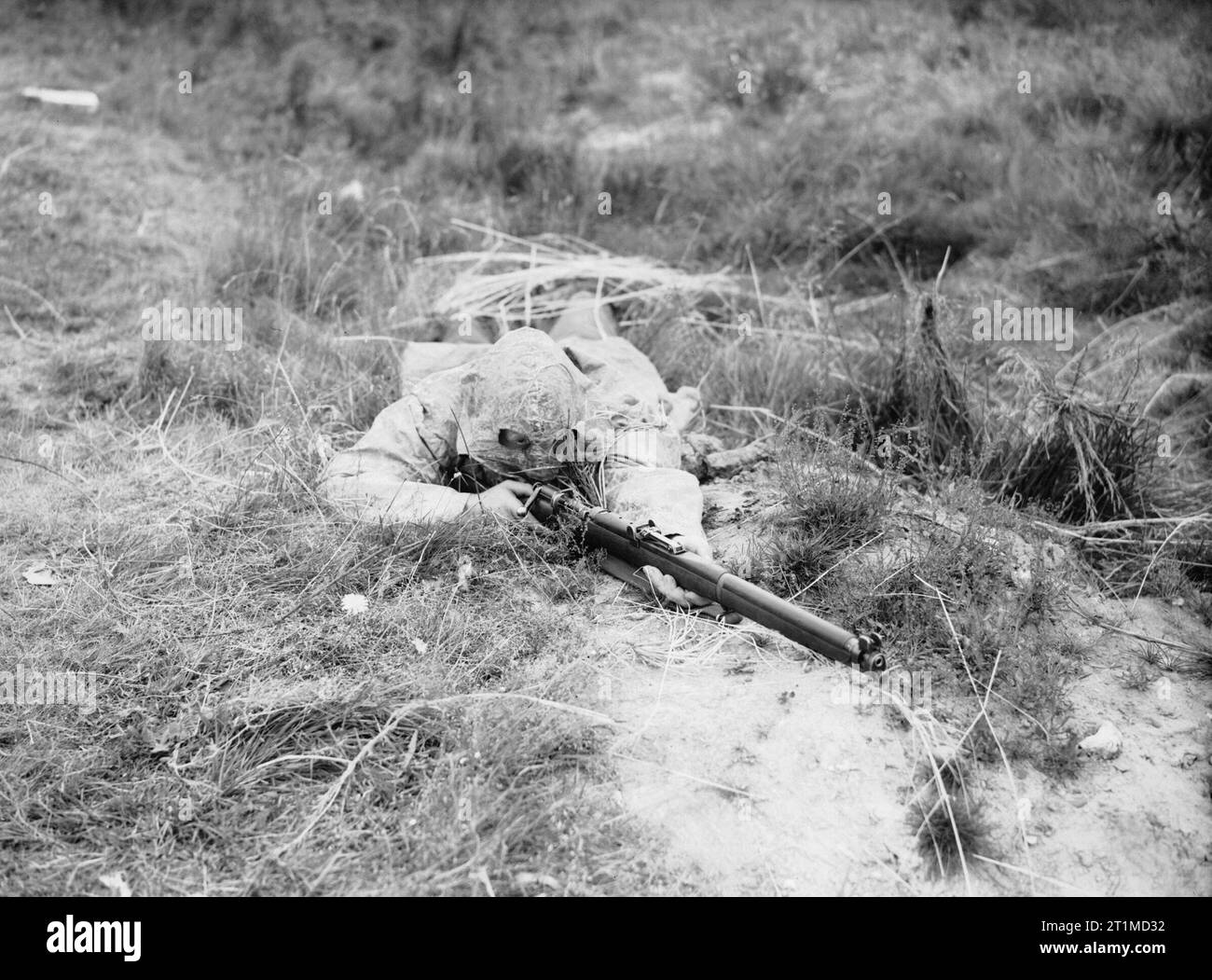 The British Army in the United Kingdom 1939-45 Lovat Scout in prone ...