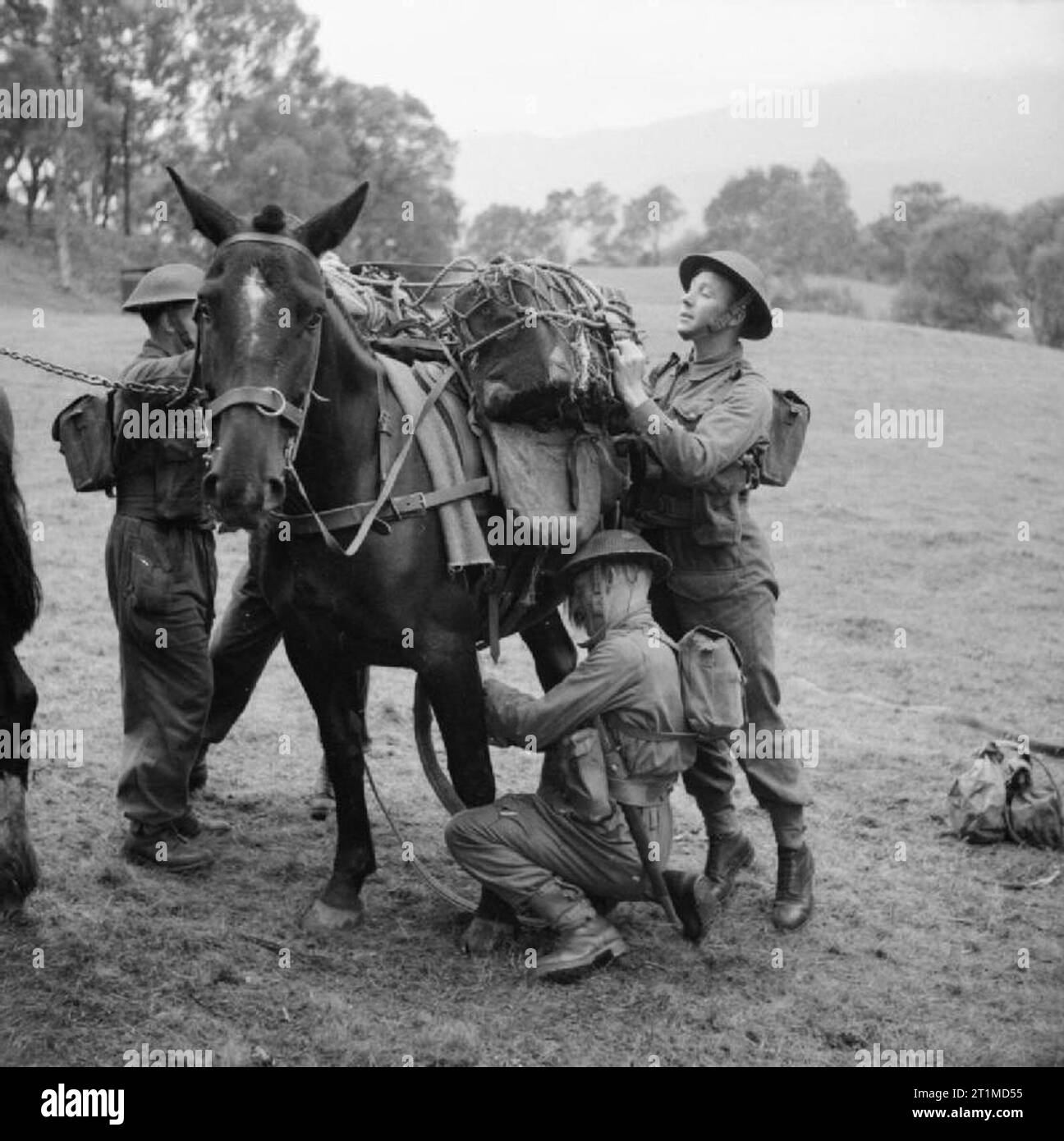 The British Army in the United Kingdom 1939-45 Men from the Cameronians ...