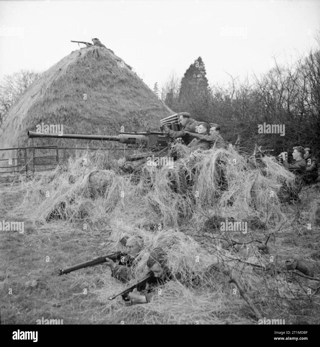 The British Army in the United Kingdom 1939-45 A Bofors 40mm anti ...