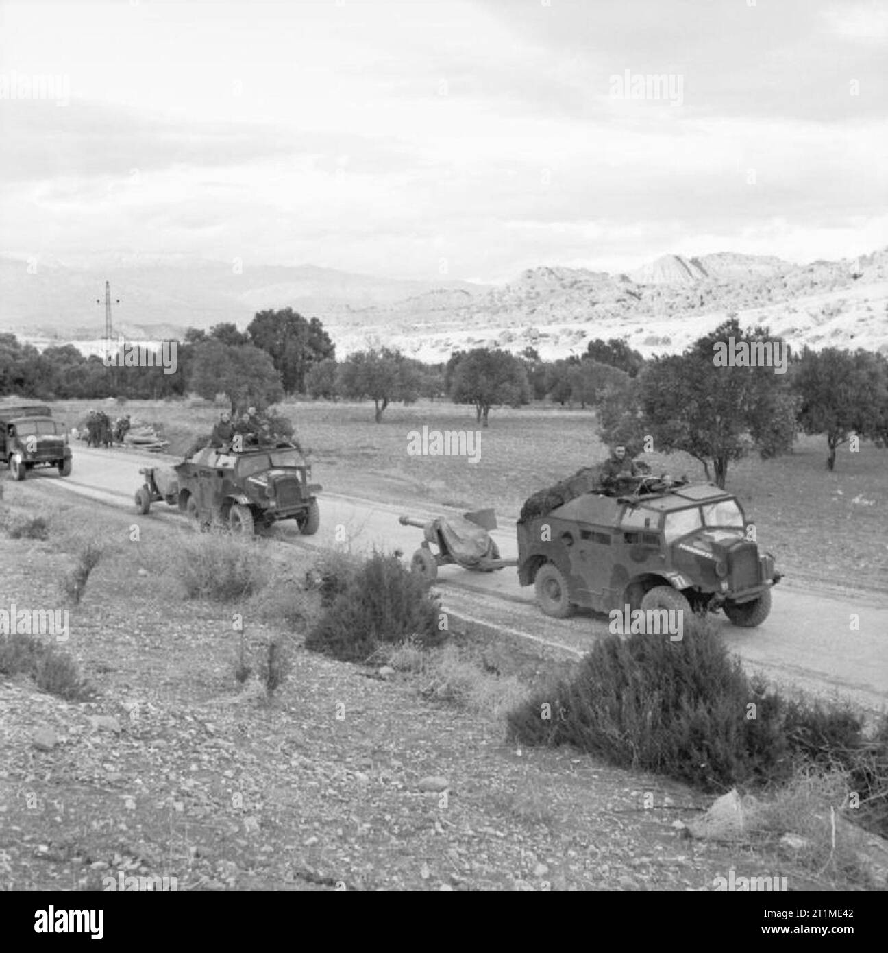 The British Army in Tunisia 1942 6-pdr anti-tank guns towed by 'Quad ...