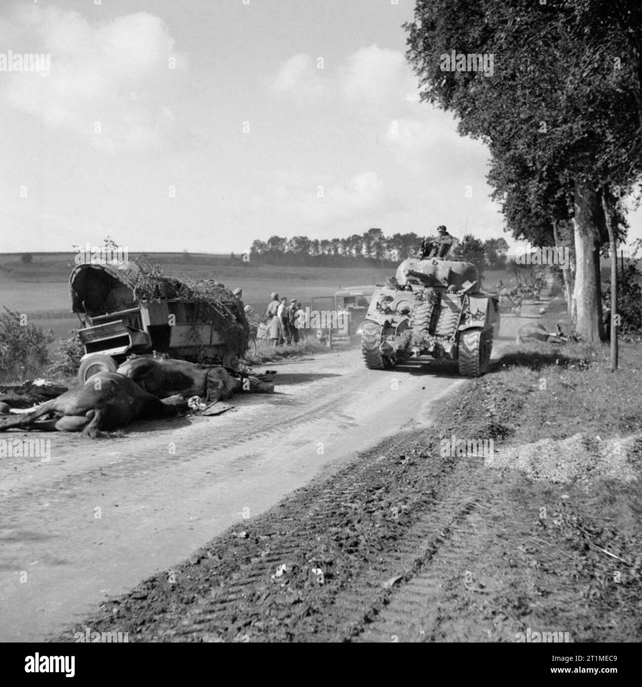 Sherman tank british 1944 hi-res stock photography and images - Alamy