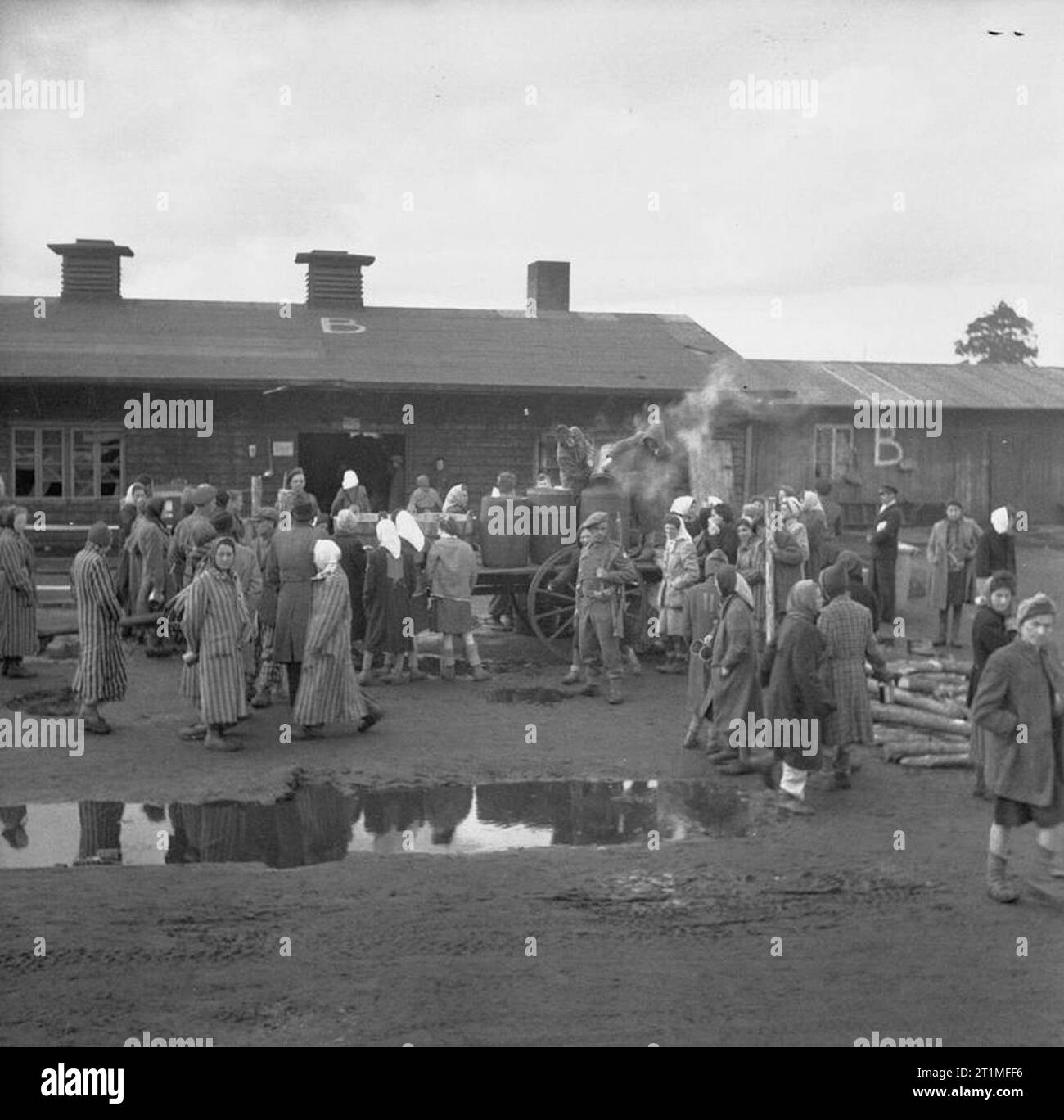 The Liberation of Bergen-belsen Concentration Camp, April 1945 British ...
