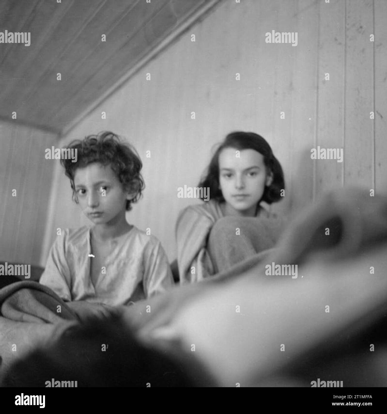 The Liberation of Bergen-belsen Concentration Camp, April 1945 Young ...