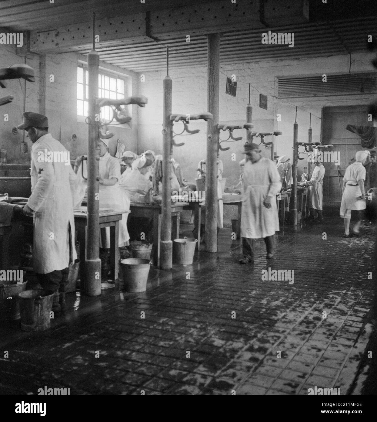 The Liberation of Bergen-belsen Concentration Camp, May 1945 Scene ...