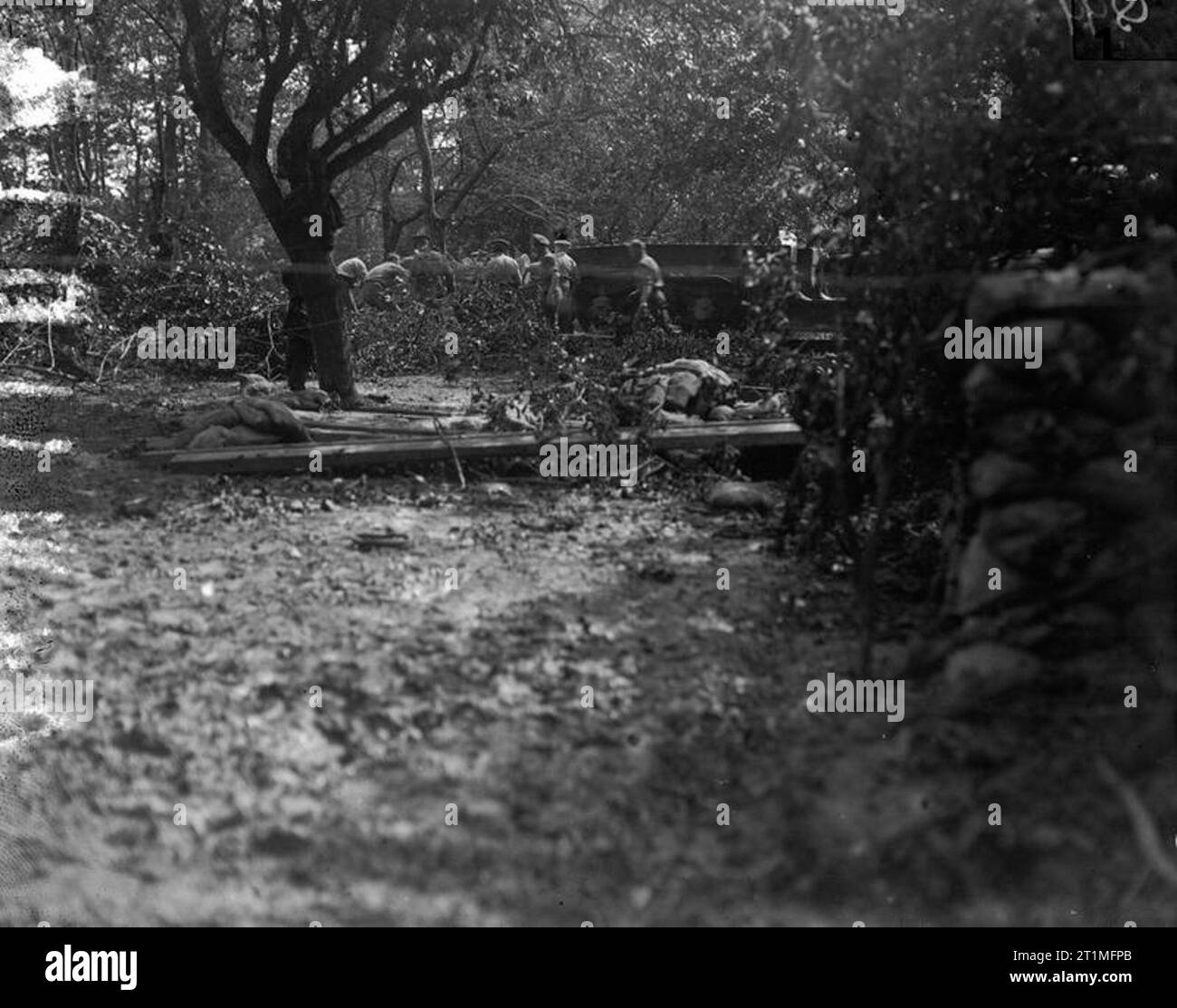 The Battle of the Somme, July - November 1916 Battle of Albert. 9.2 ...