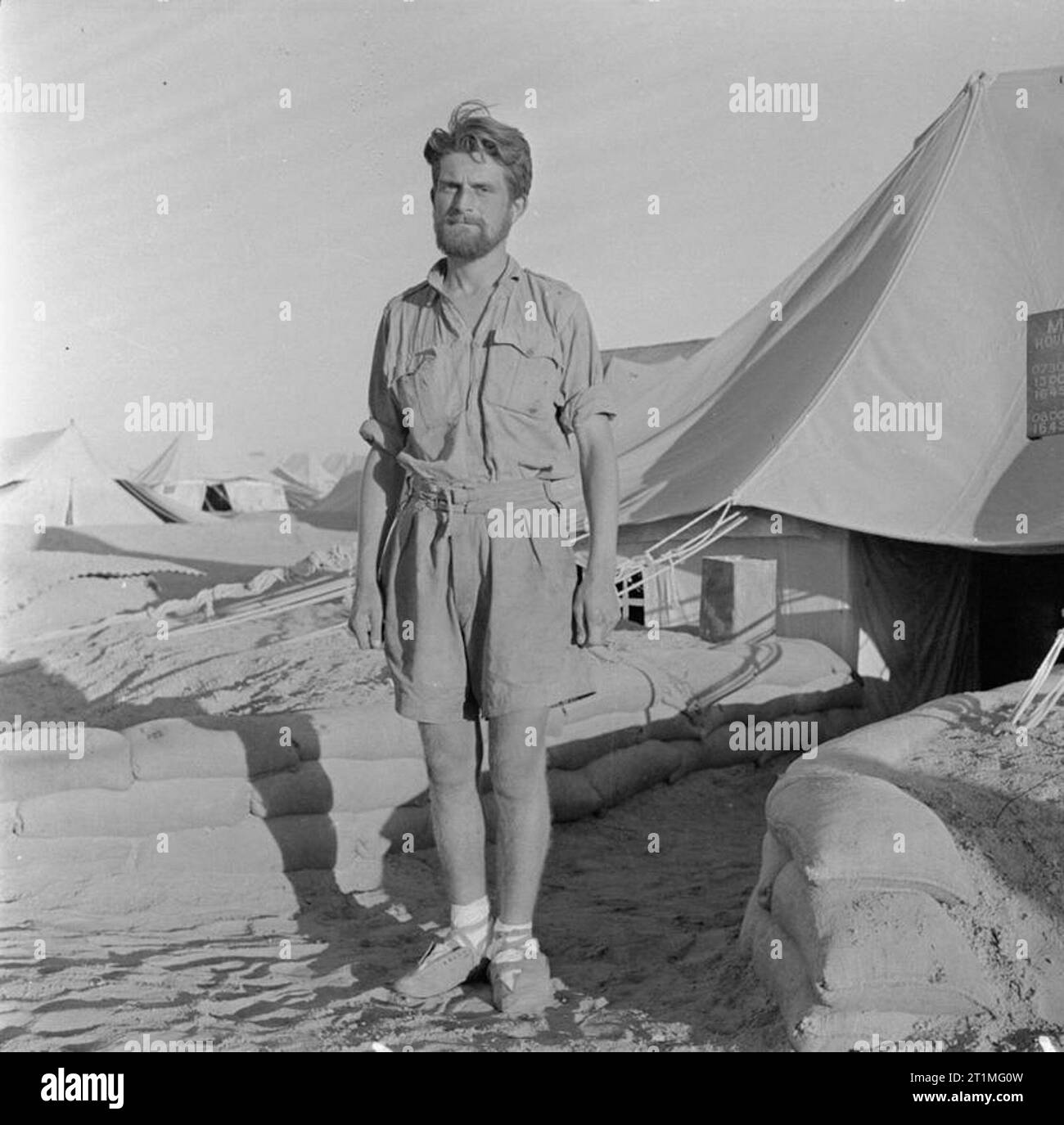 The Special Air Service (sas) in North Africa during the Second World ...