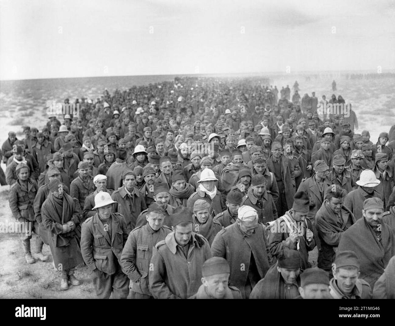 The Western Desert Campaign, 1941 A column of Italian prisoners ...