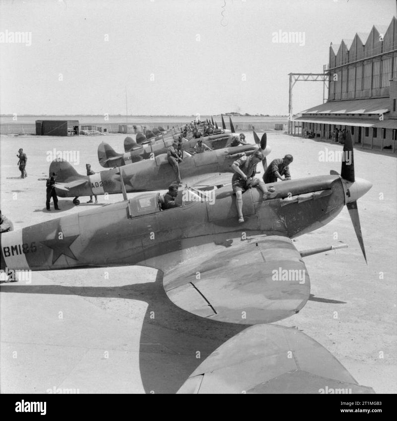 War Office Second World War Official Collection Spitfire F Mk.5b ...