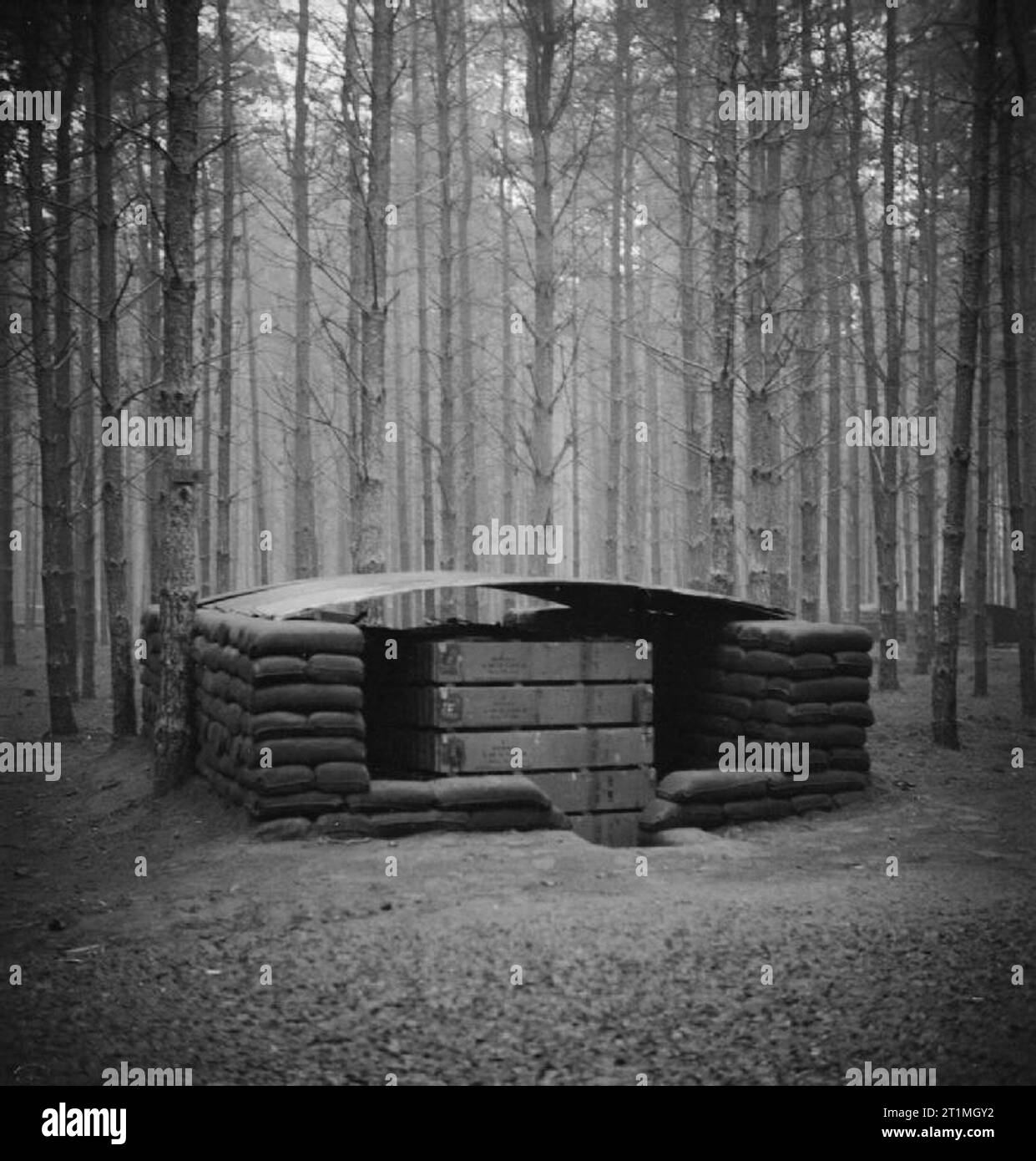 Chemical Warfare in the Twentieth Century- the Second World War A ...