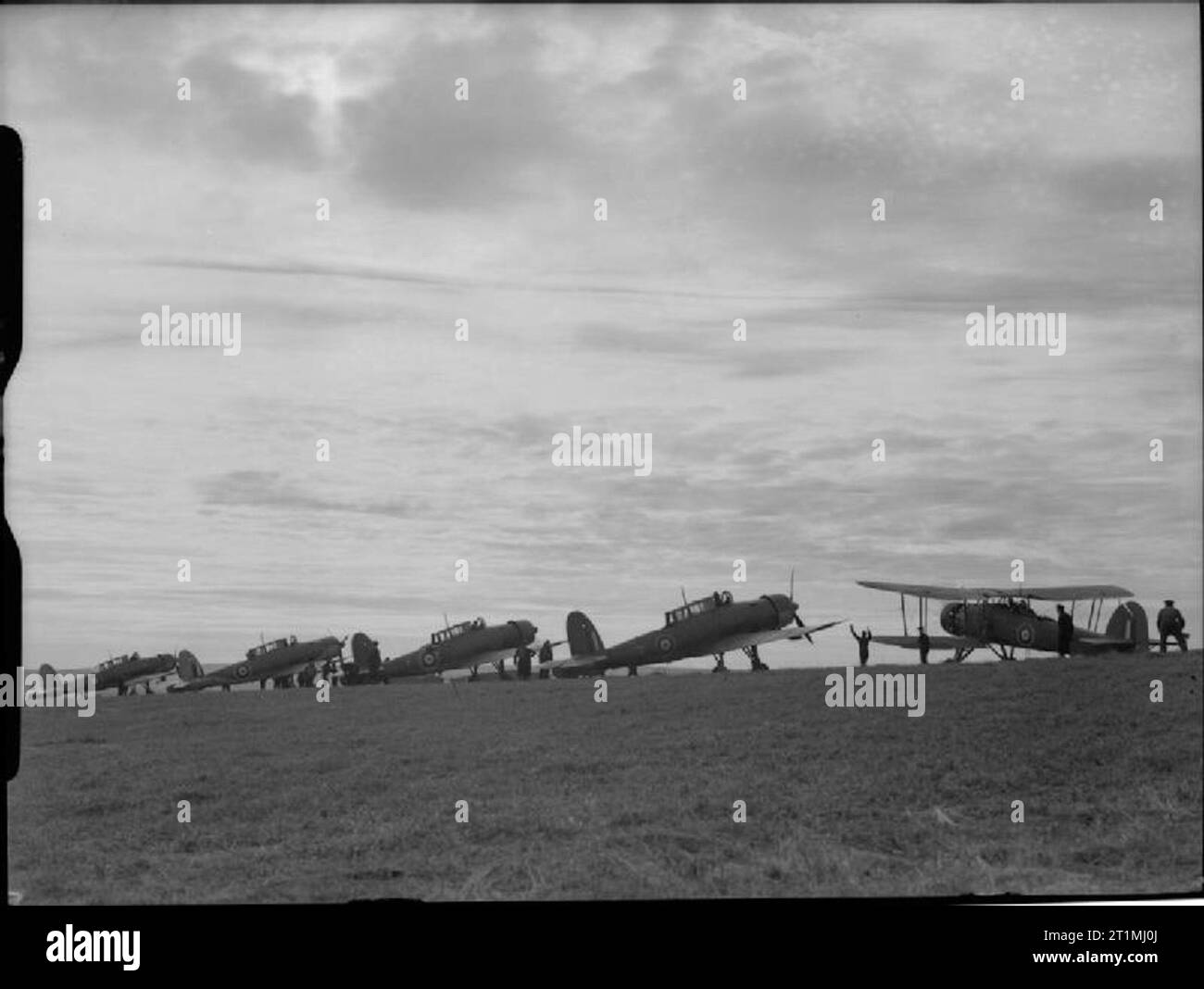 The Royal Navy during the Second World War Four Blackburn Skuas and one ...