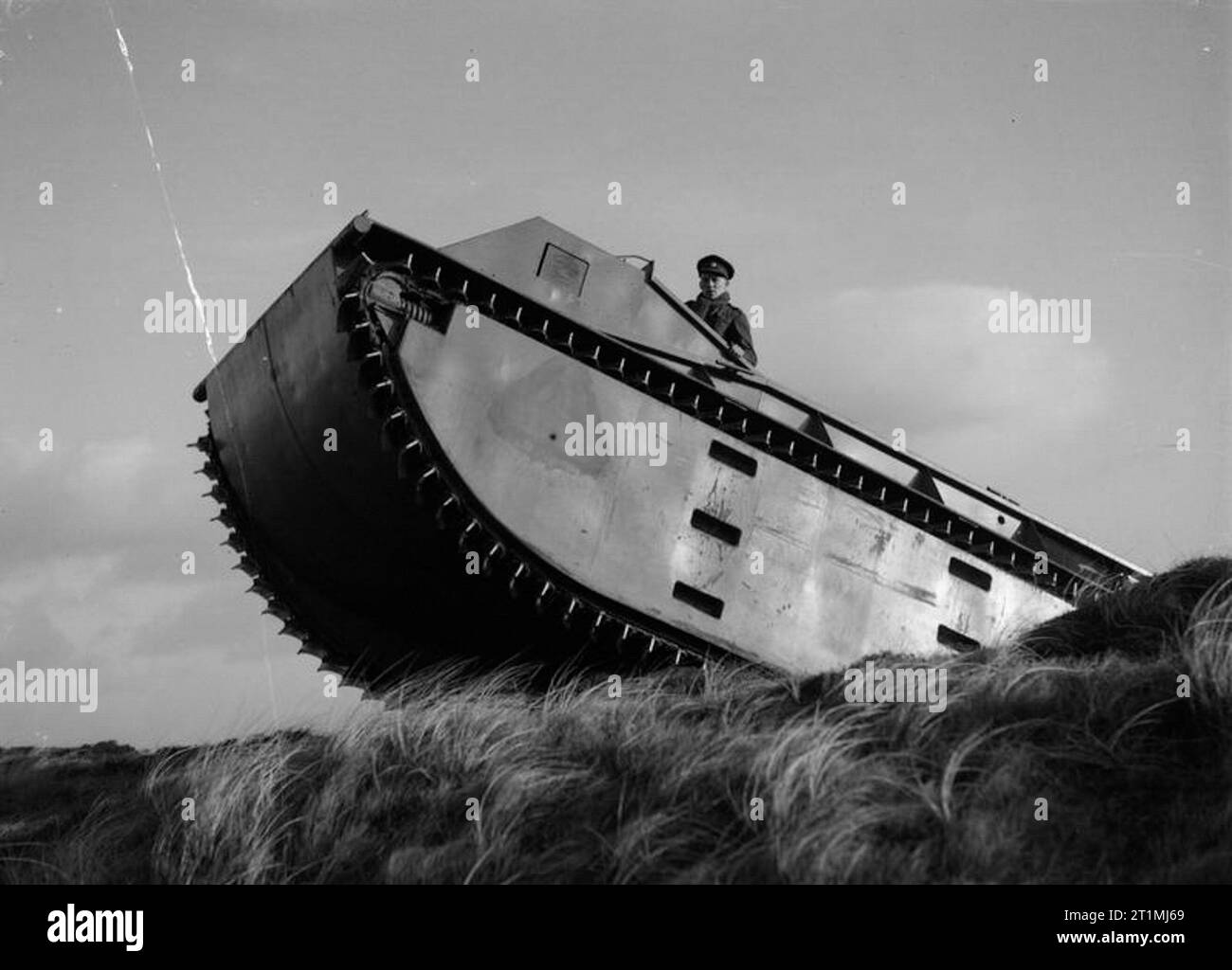 Alligator tanks Black and White Stock Photos & Images - Alamy