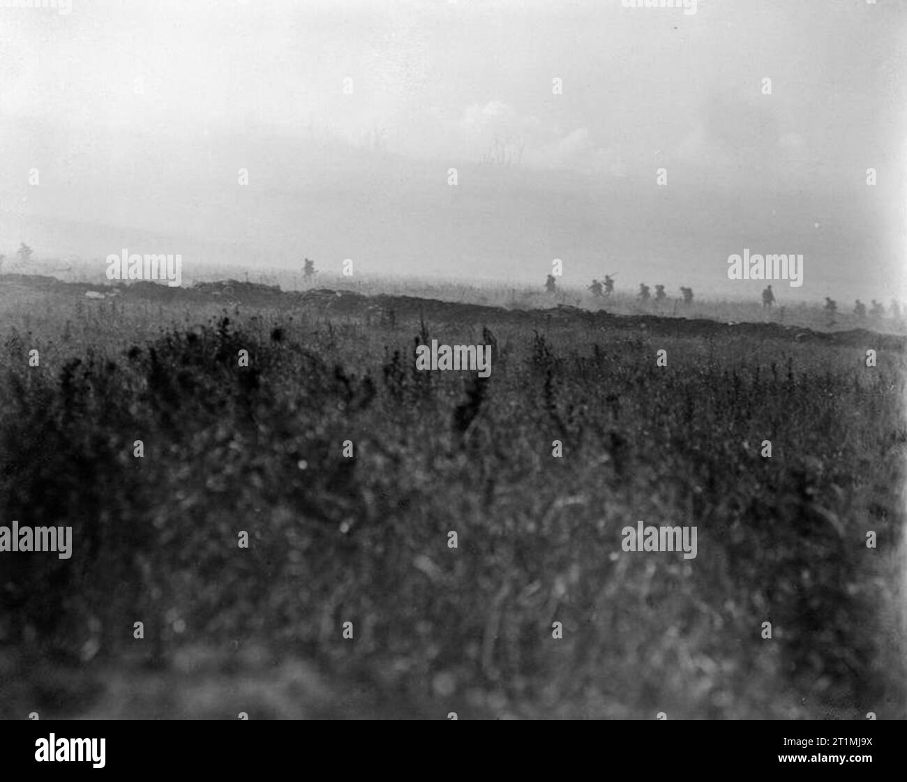 The Battle of the Somme, July - November 1916 Battle of Albert. The ...