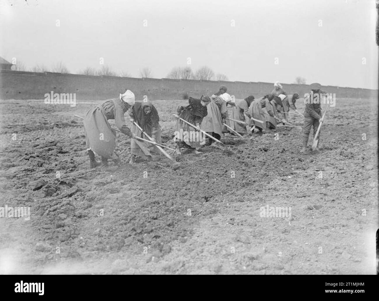 The Civilian Population on the Western Front, 1914-1918 Stock Photo - Alamy