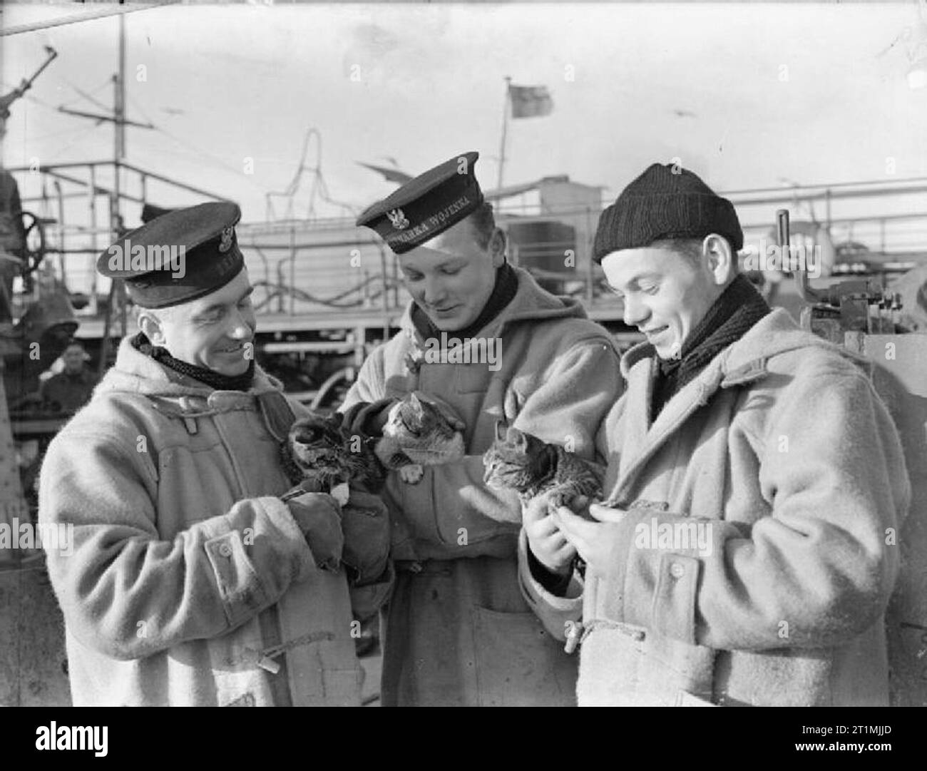 Orp piorun Black and White Stock Photos & Images - Alamy