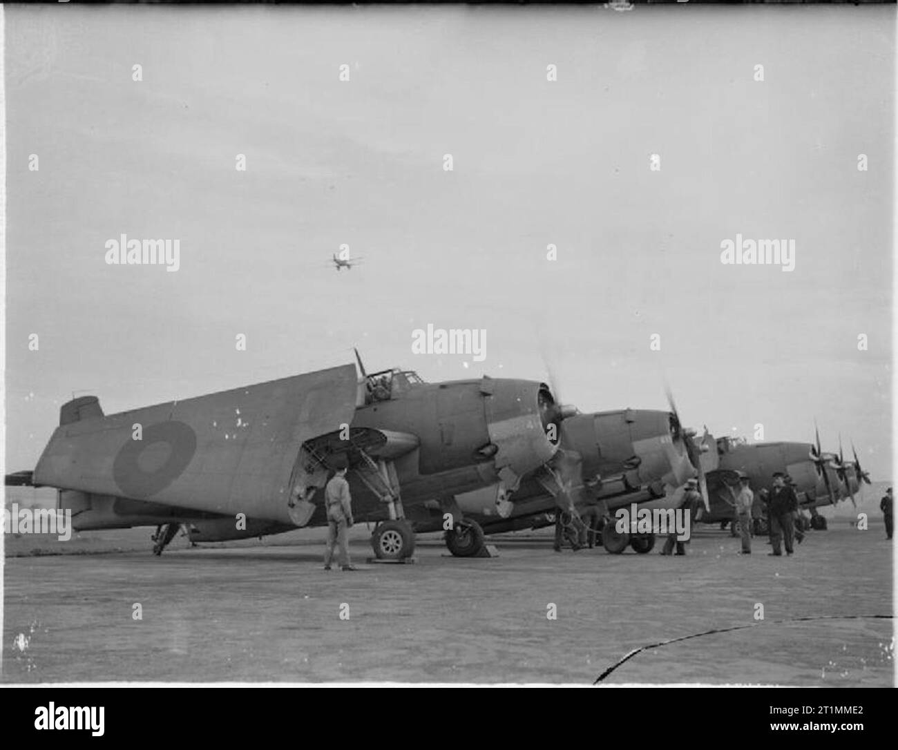 The Royal Navy during the Second World War Grumman Avenger three seater ...