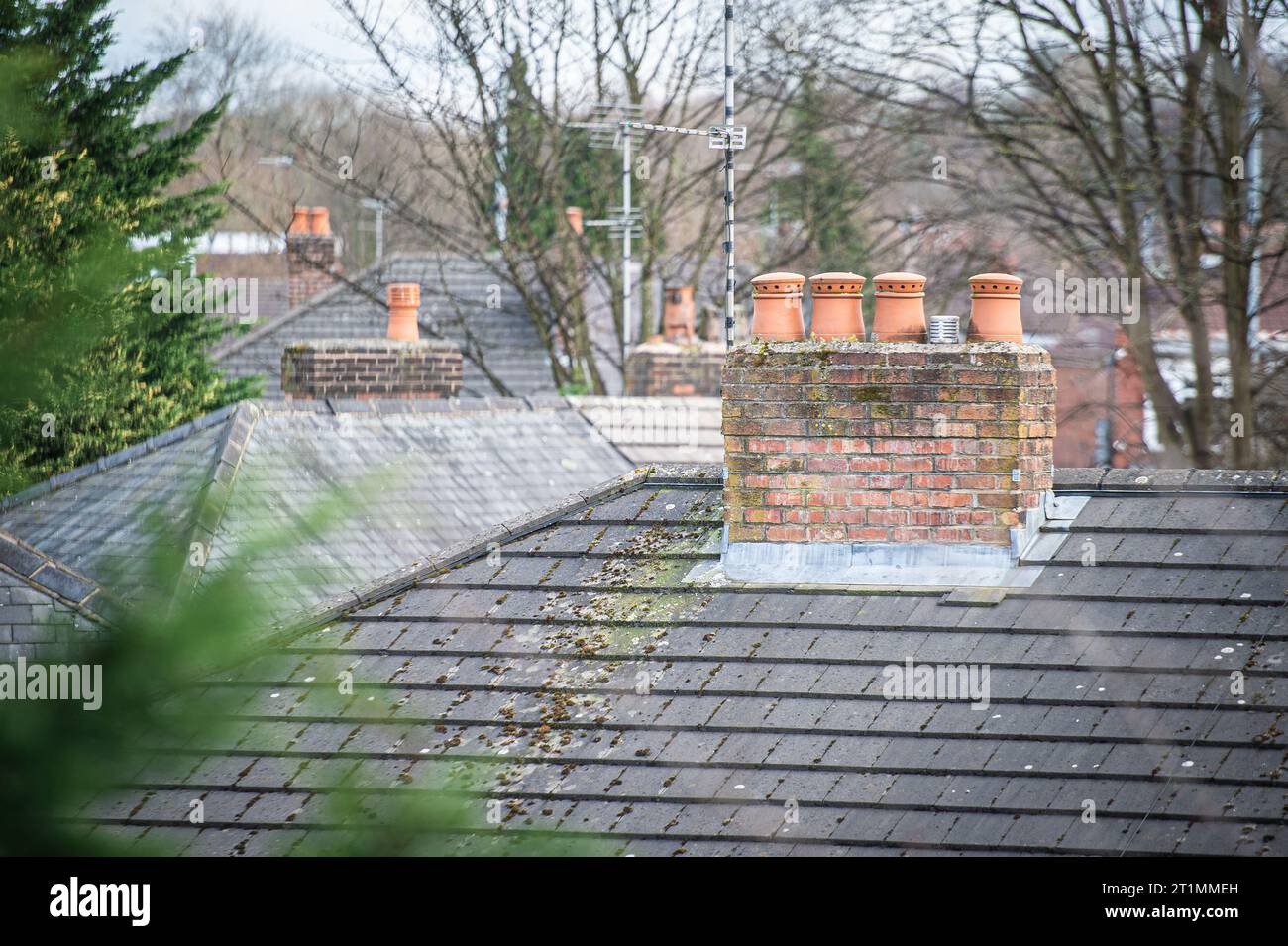 Council Houses in Burnage, Manchester Stock Photo - Alamy