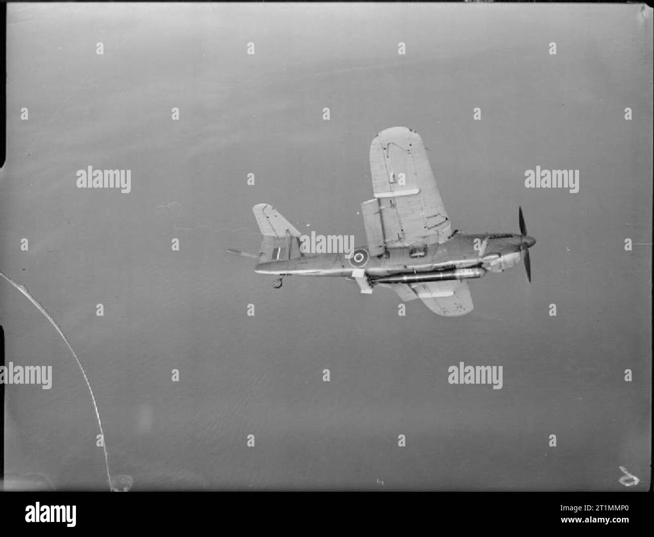The Royal Navy during the Second World War A Fairey Barracuda II (P ...