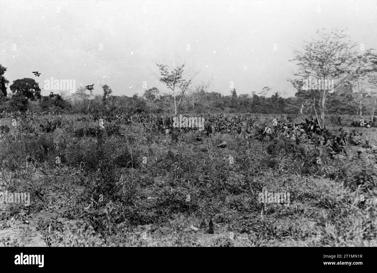 Ministry of Information First World War Official Collection German East ...