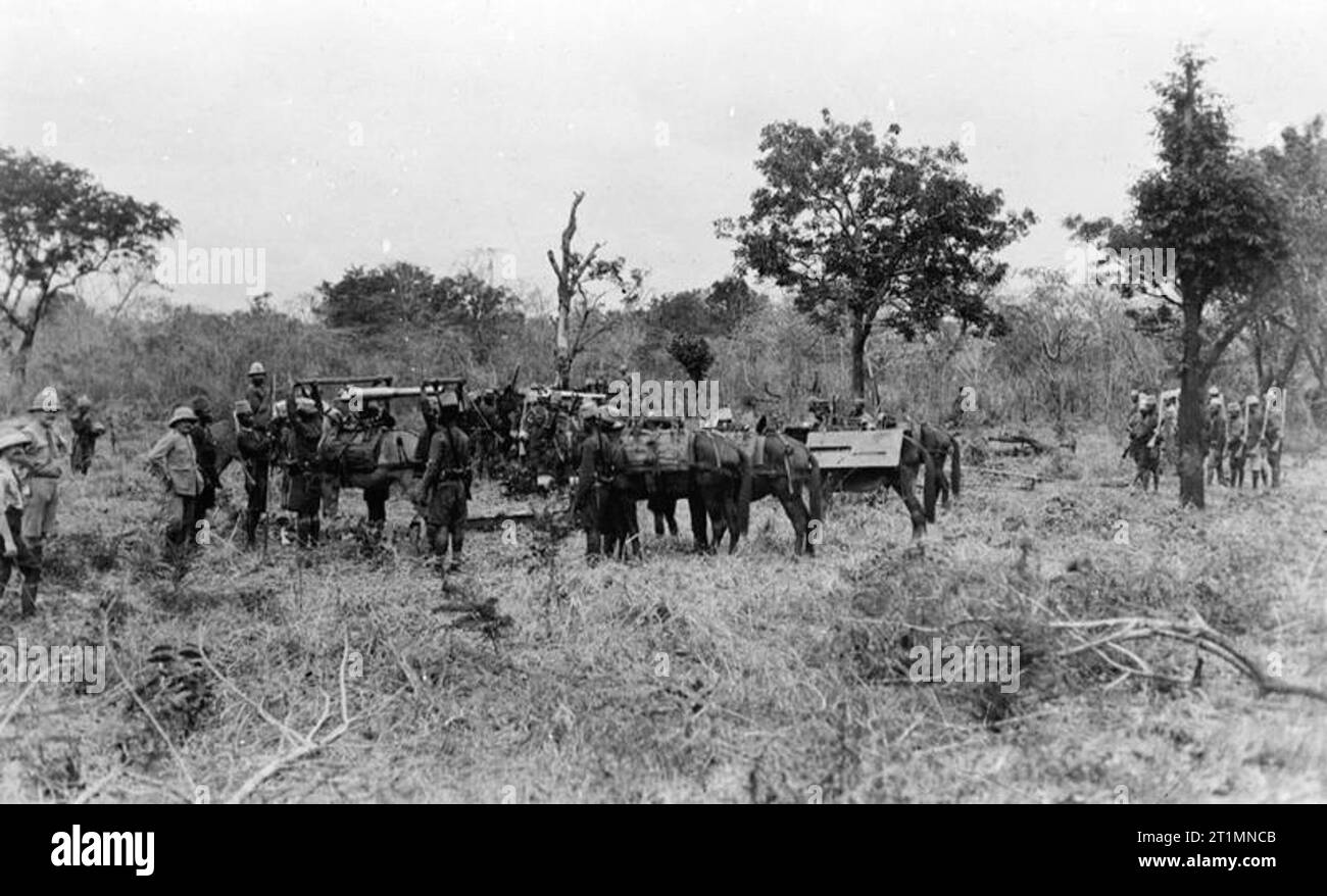 Ministry of Information First World War Official Collection German East ...